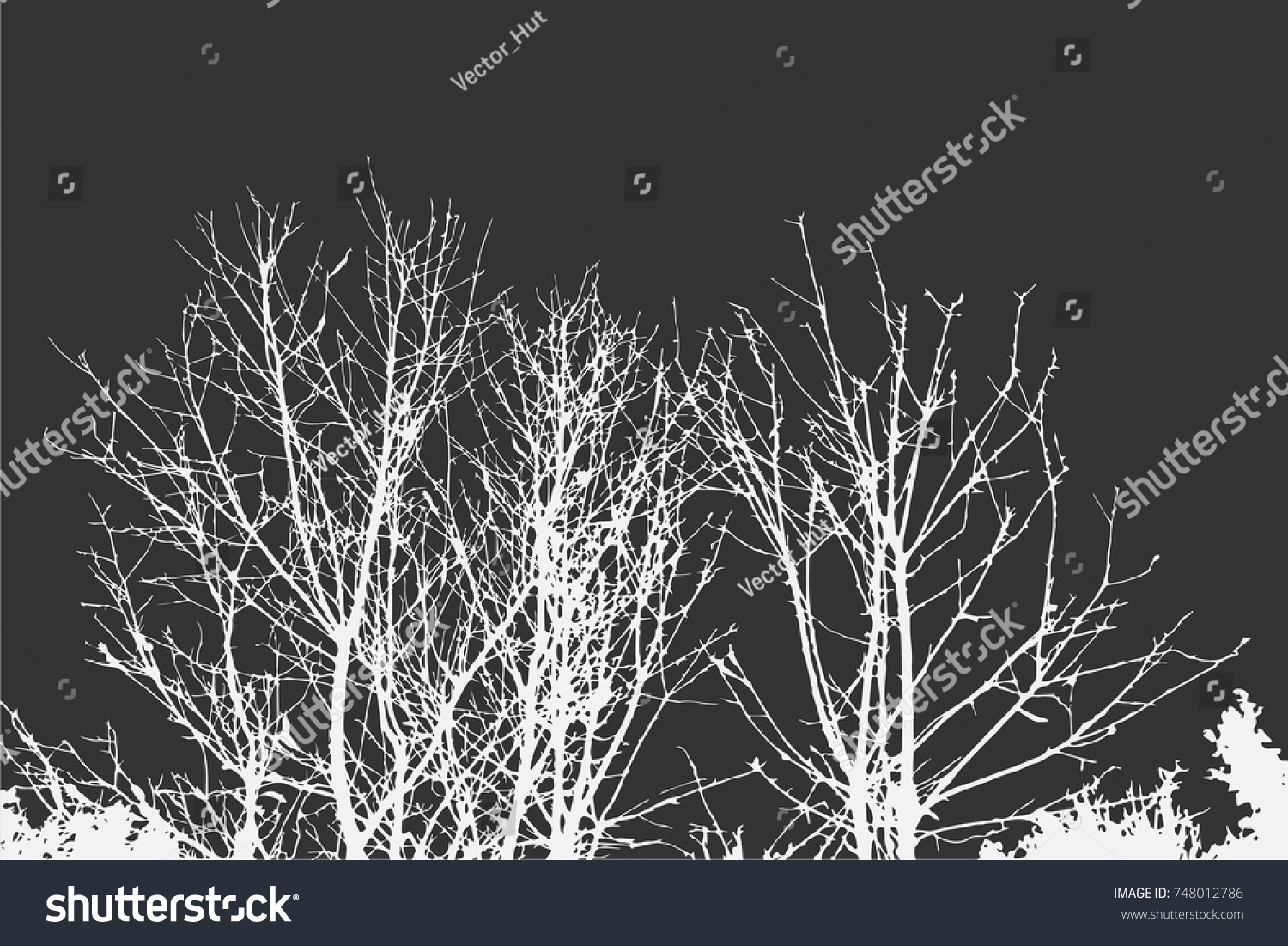 Silhouettes Trees On Subtle Background Tree Stock Vector (Royalty Free ...