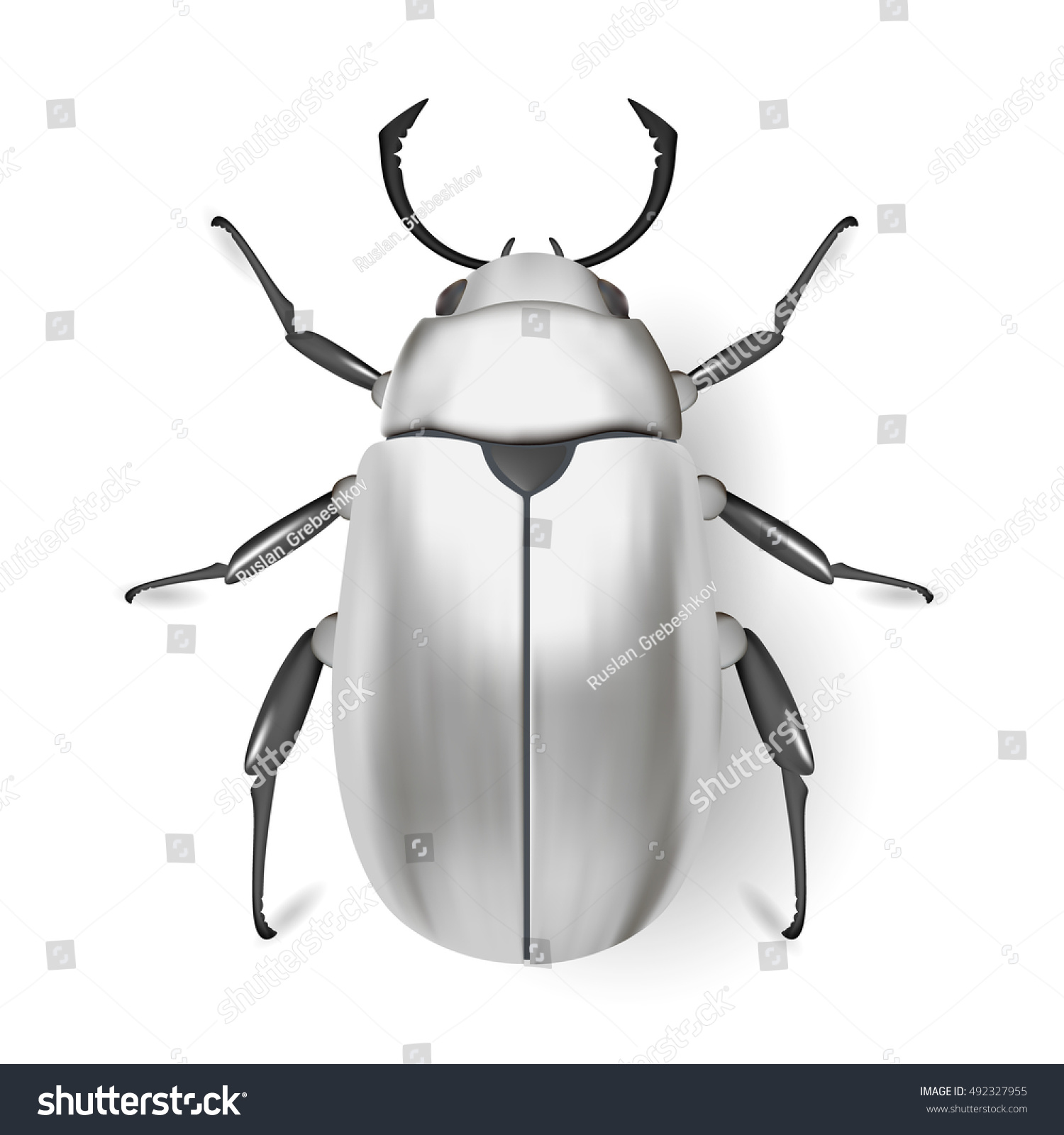Silver Beetle Insect Icon Pads Vector เวกเตอร์สต็อก 492327955 ...