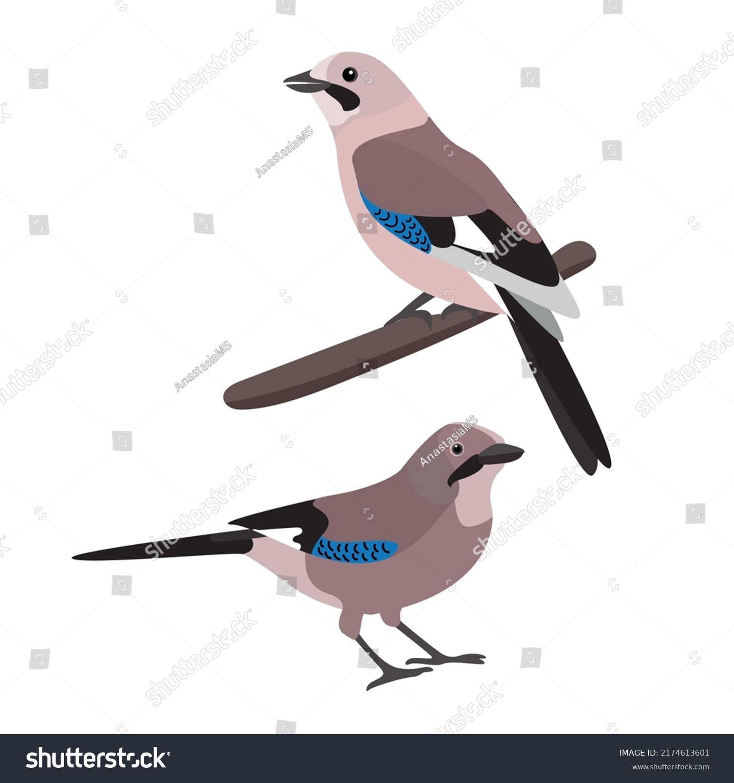 Simple Birds Illustration Collection Vector Stock Vector (Royalty Free ...