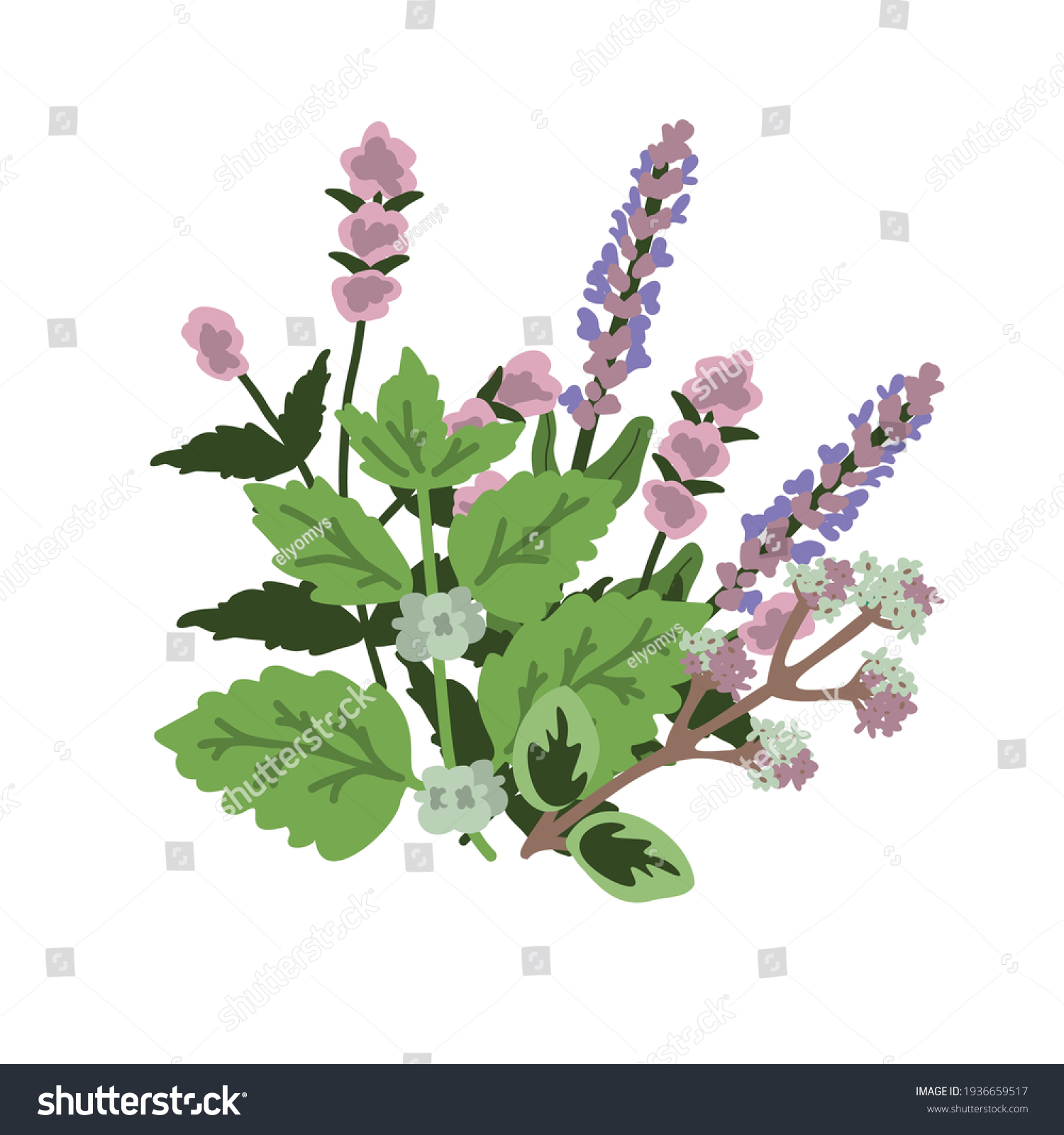 Dibujo vectorial de hierbas simples: vector de stock (libre de regalías ...