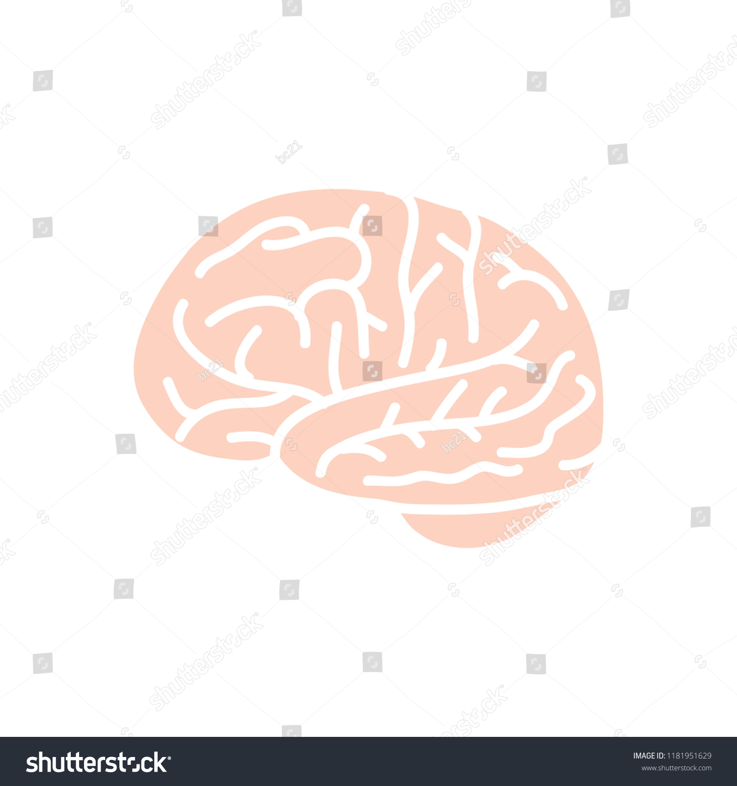 Simple Human Brain Illustration Stock Vector (Royalty Free) 1181951629