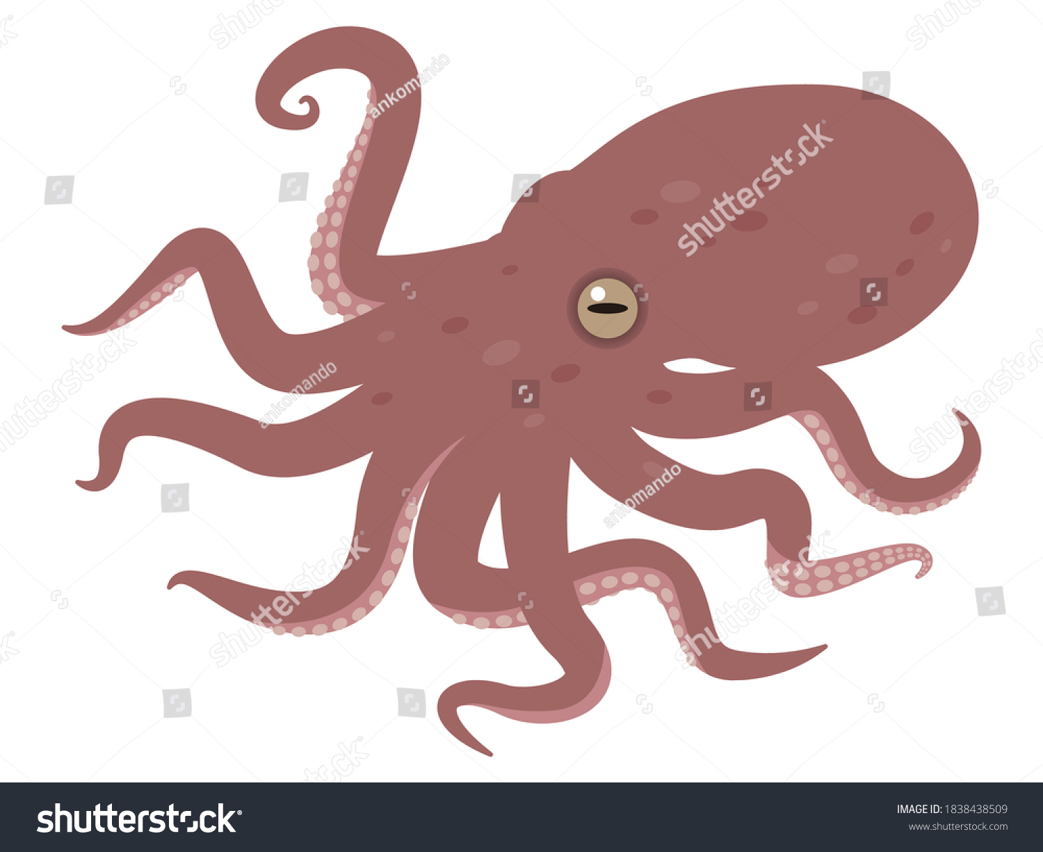 Simple Octopus Illustration On White Background Stock Vector (Royalty ...