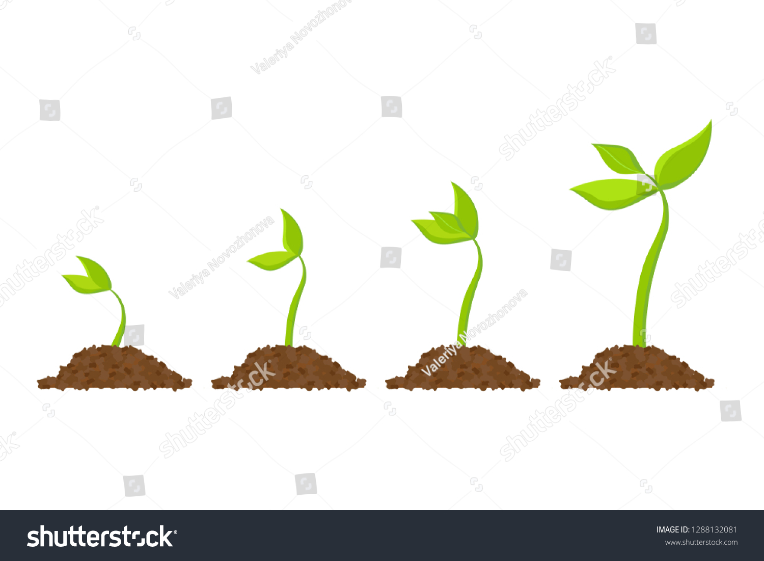 Vektor Stok Simple Sprouting Seed Drawing Vector Illustration (Tanpa ...