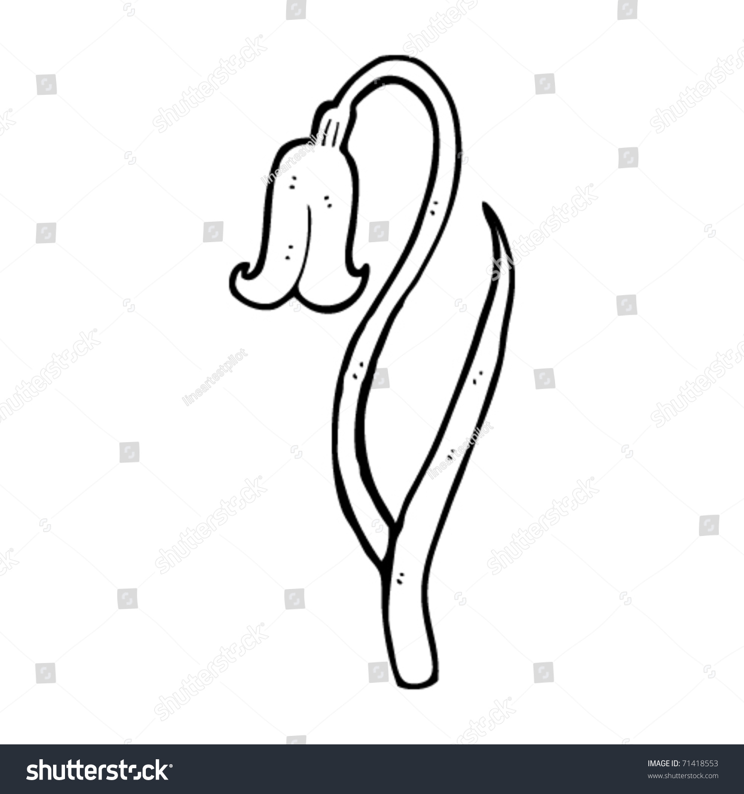 Single Snowdrop Flower Cartoon Stock Vector (Royalty Free) 71418553 ... Single Snowdrop Flower Cartoon Stock Vector (Royalty Free) 71418553 ...