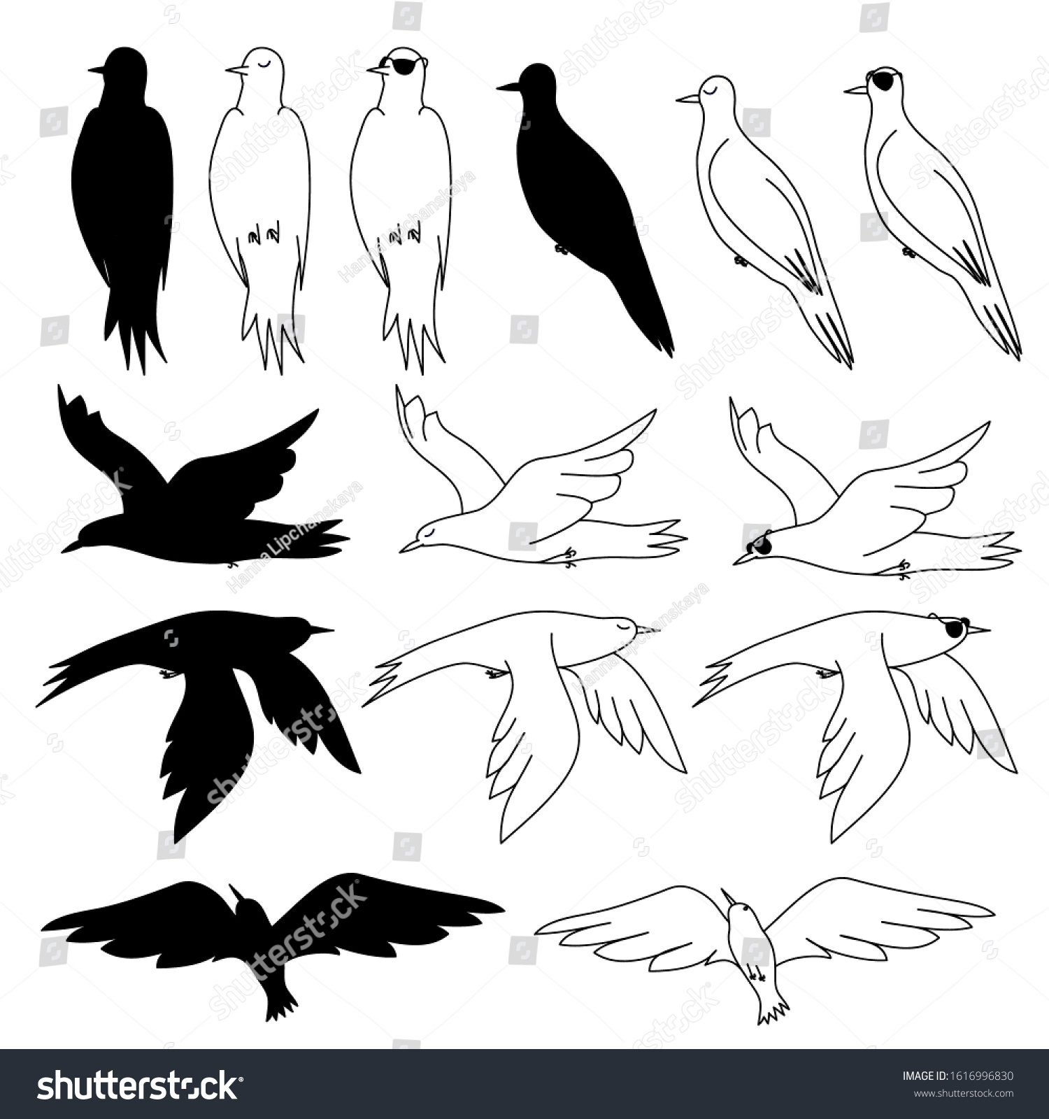 Sitting Flying Birds Isolated Vector Graphics Stock Vector (Royalty ...
