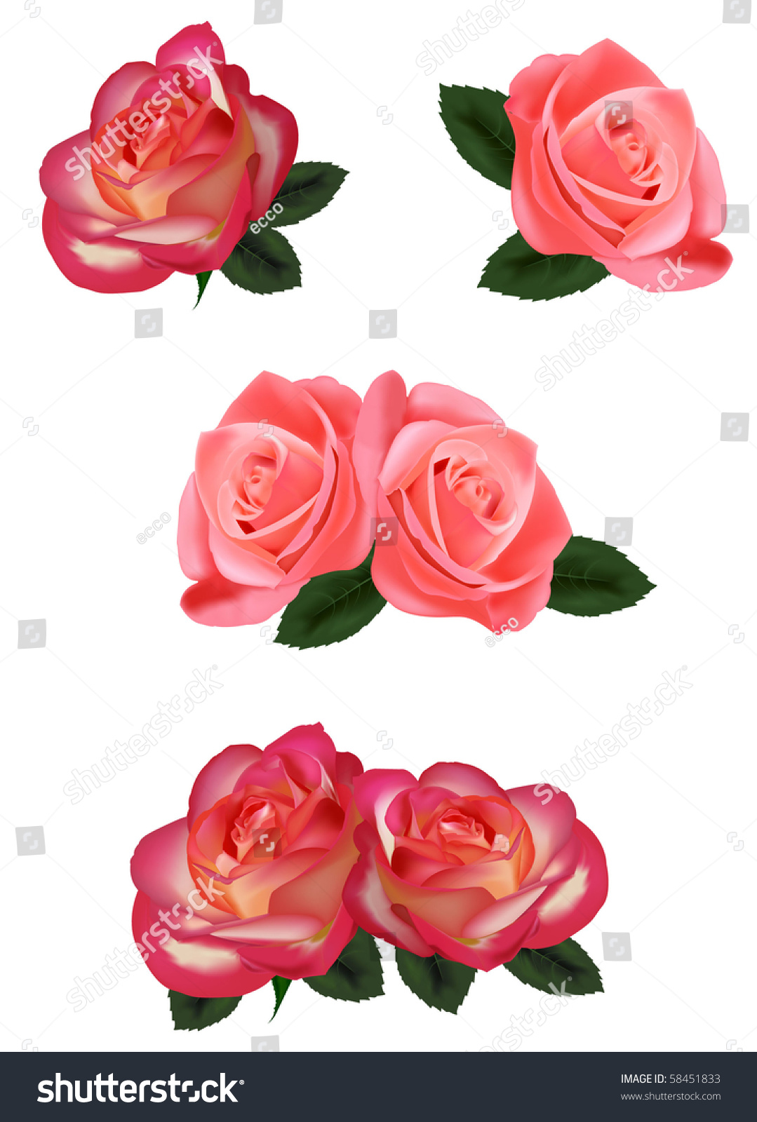 Seis bonitas rosas sobre un fondo: vector de stock (libre de regalías ...