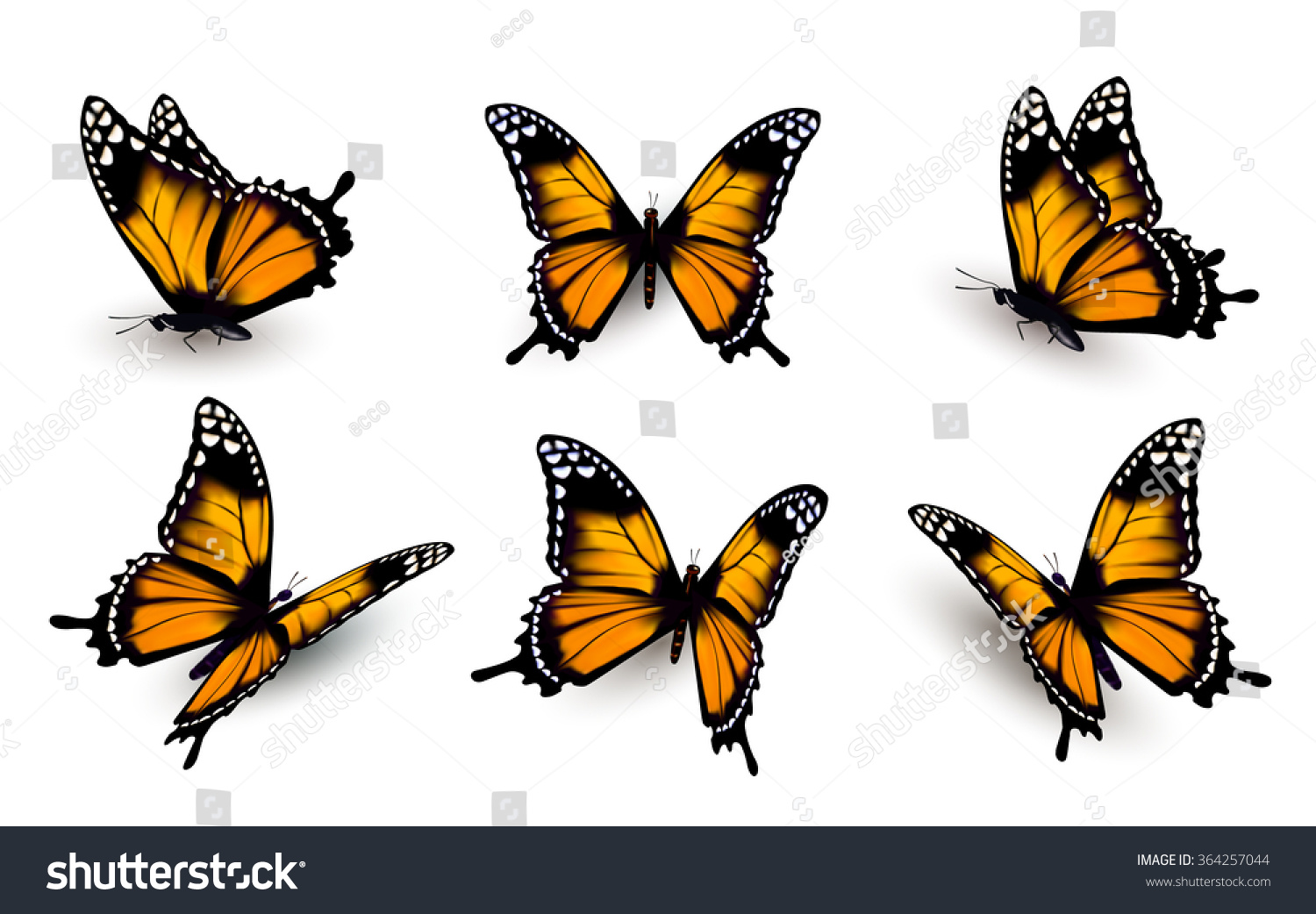 Six Butterflies Set Vector Stock Vector (Royalty Free) 364257044 ...