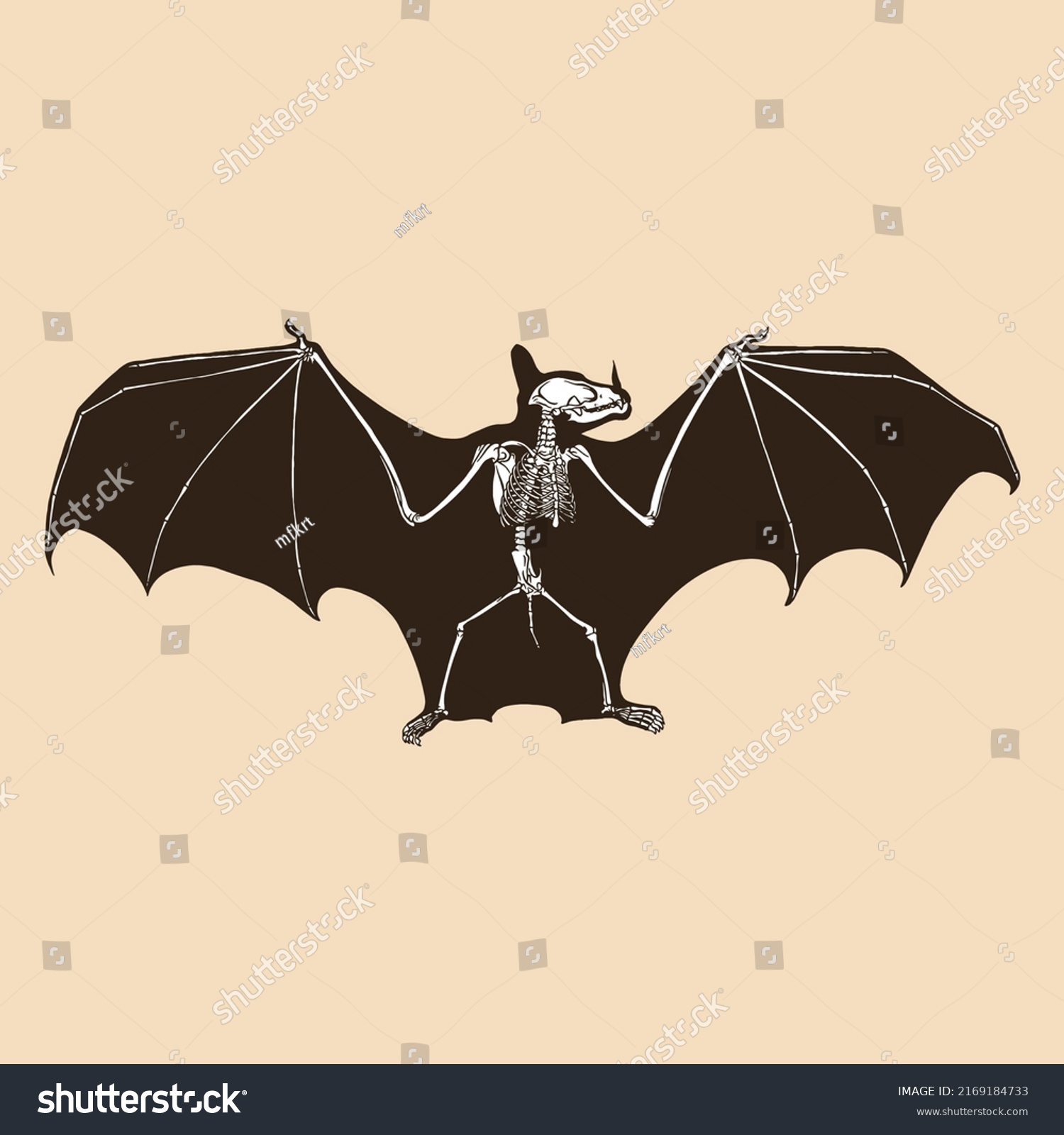 Skeleton Bat Vector Illustration Animal Stock Vector (Royalty Free ...