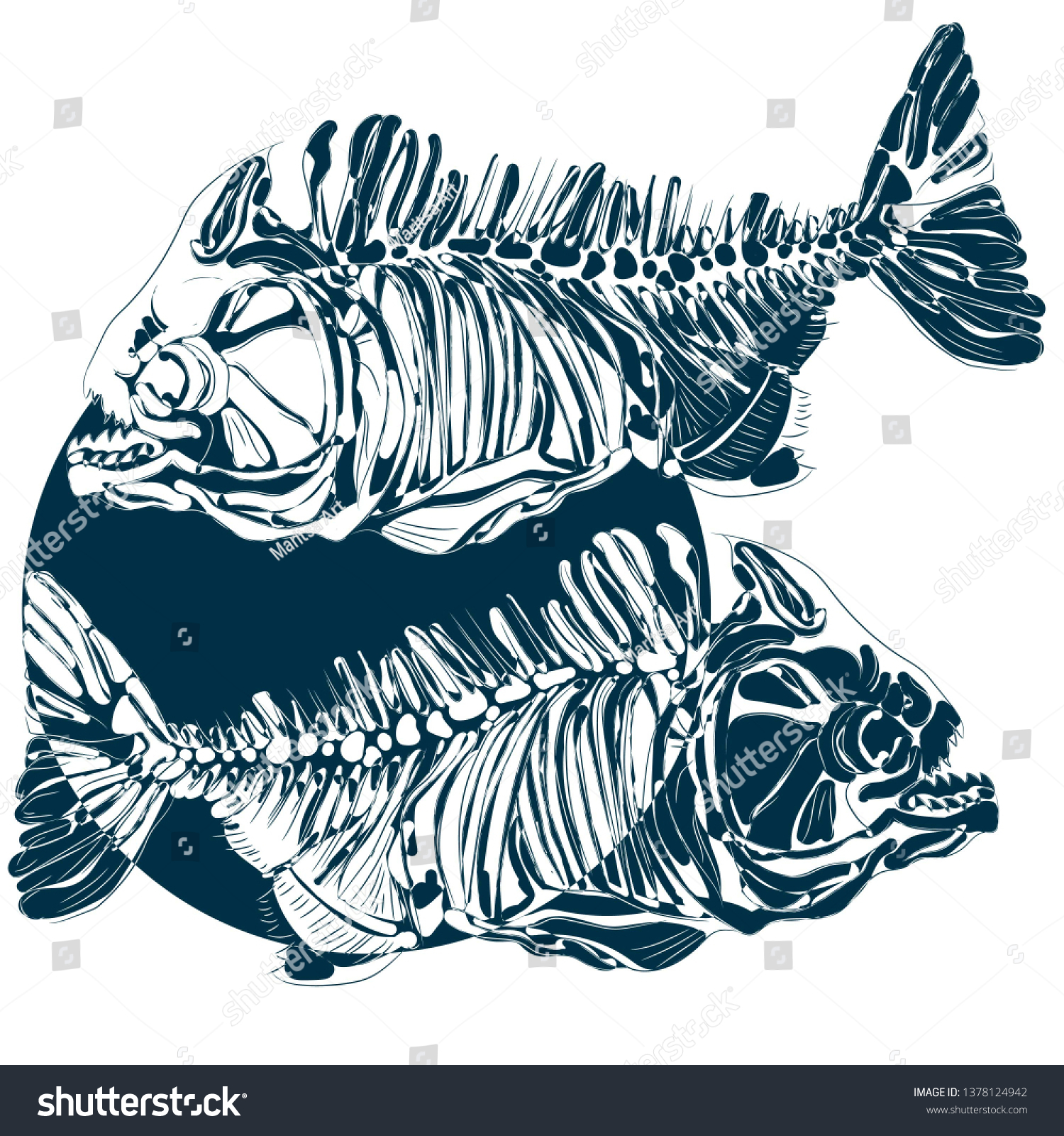 Skeleton Fish Vector Image Logo Postcard Stock Vector (Royalty Free ...