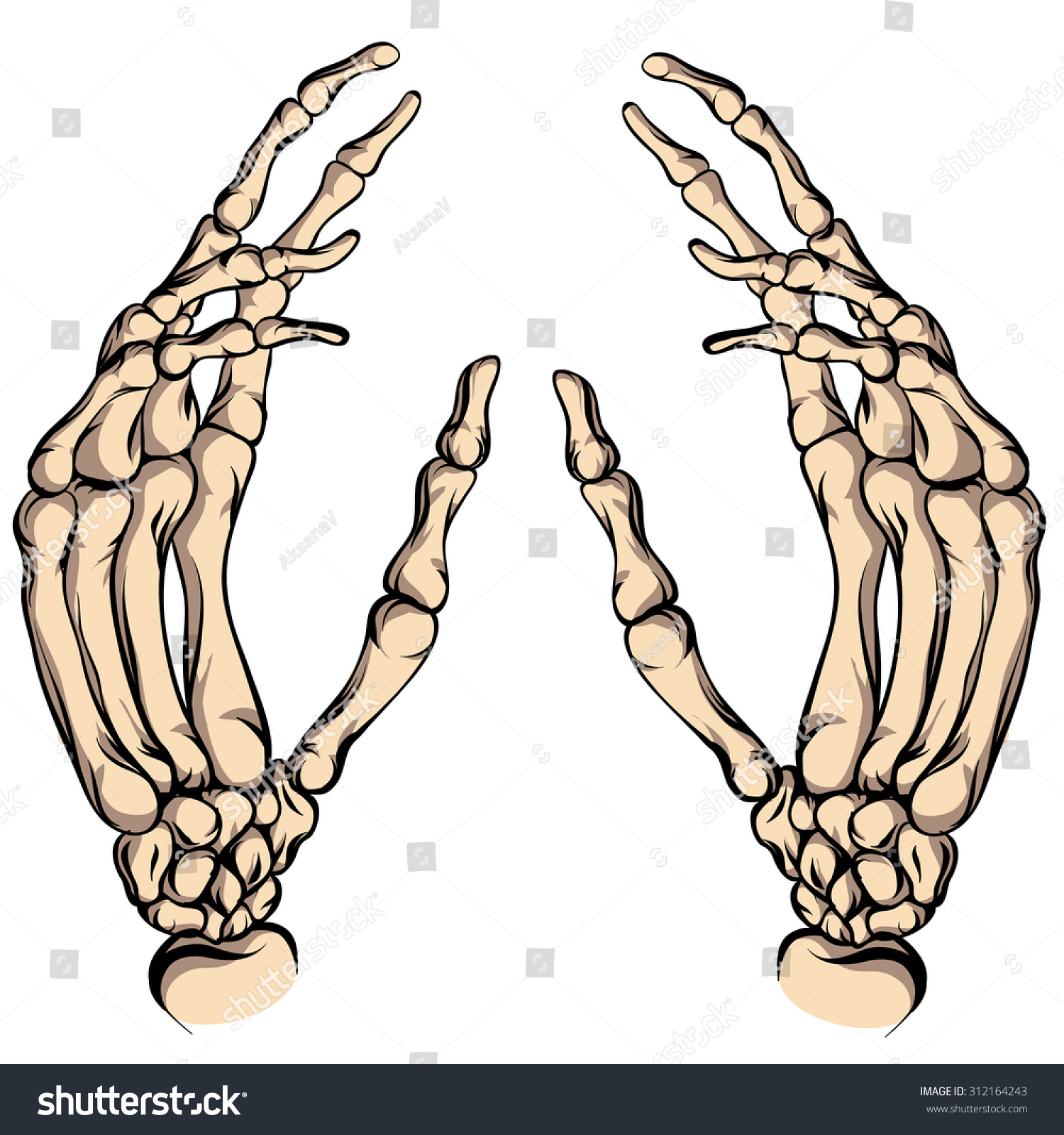 Skeleton Palms On White Background Stock Vector (Royalty Free ...