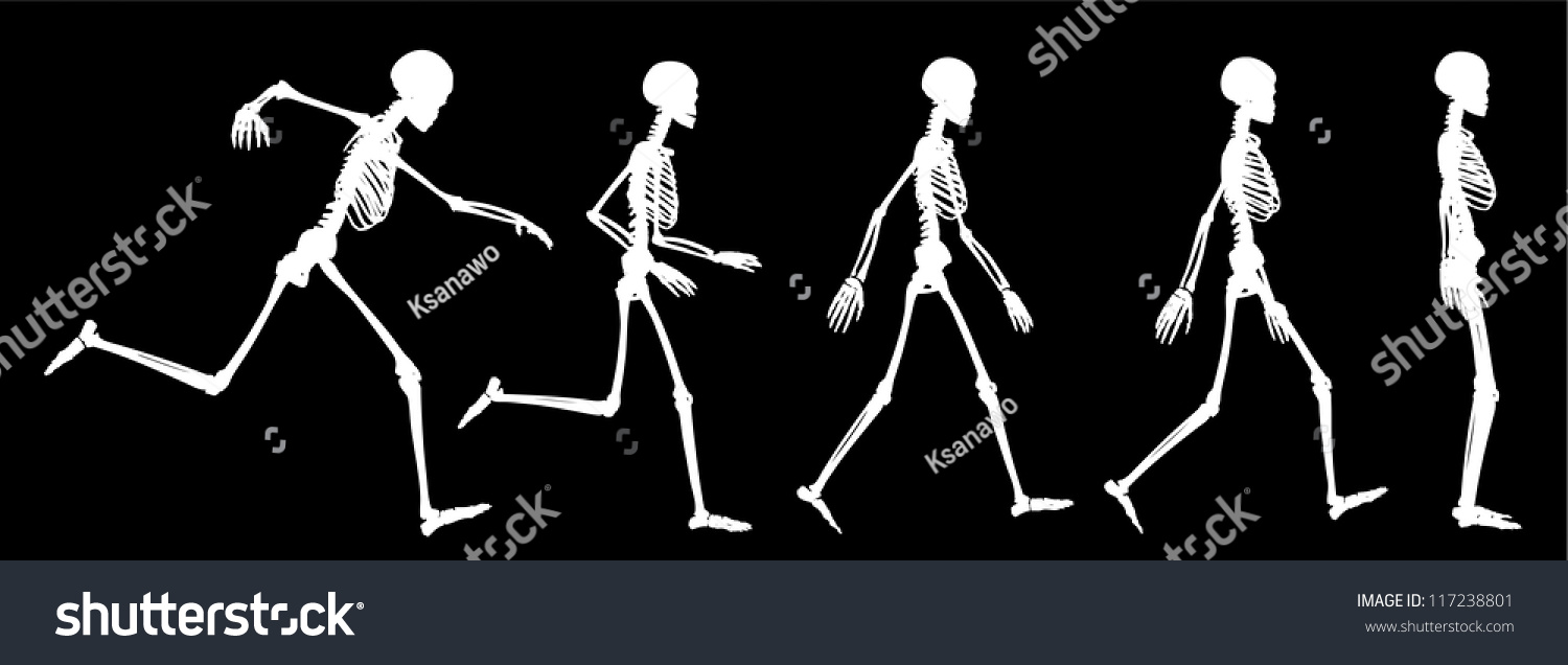 Skeleton Run Silhouette Stock Vector 117238801 - Shutterstock