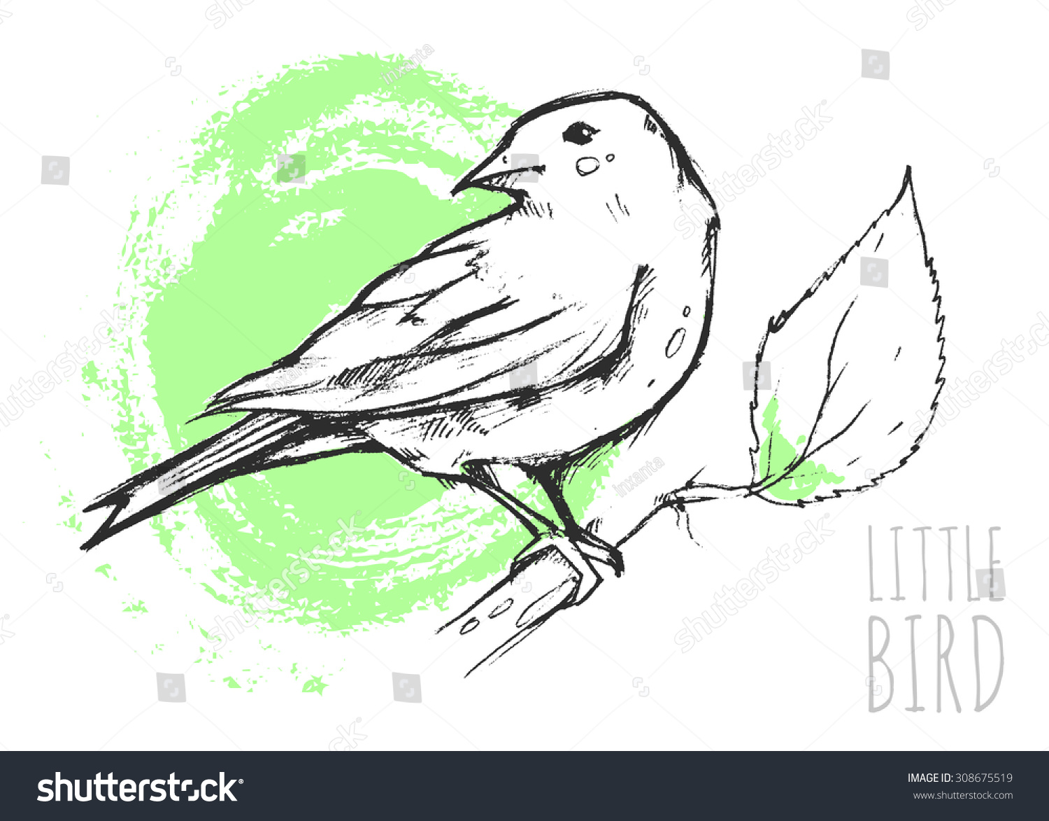 Sketch Bird Vector Illustration: vector de stock (libre de regalías ...