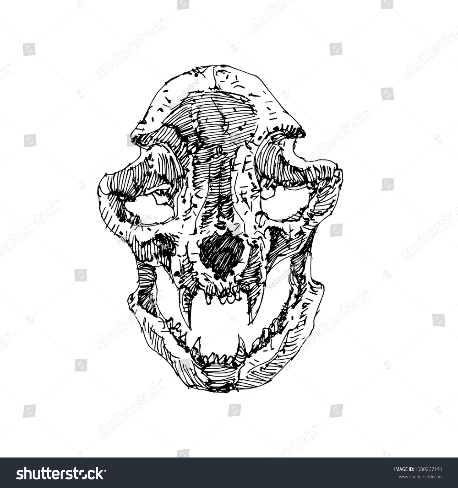 Sketch Cat Skull Vector Artwork Stock Vector (Royalty Free) 1580267191 ...
