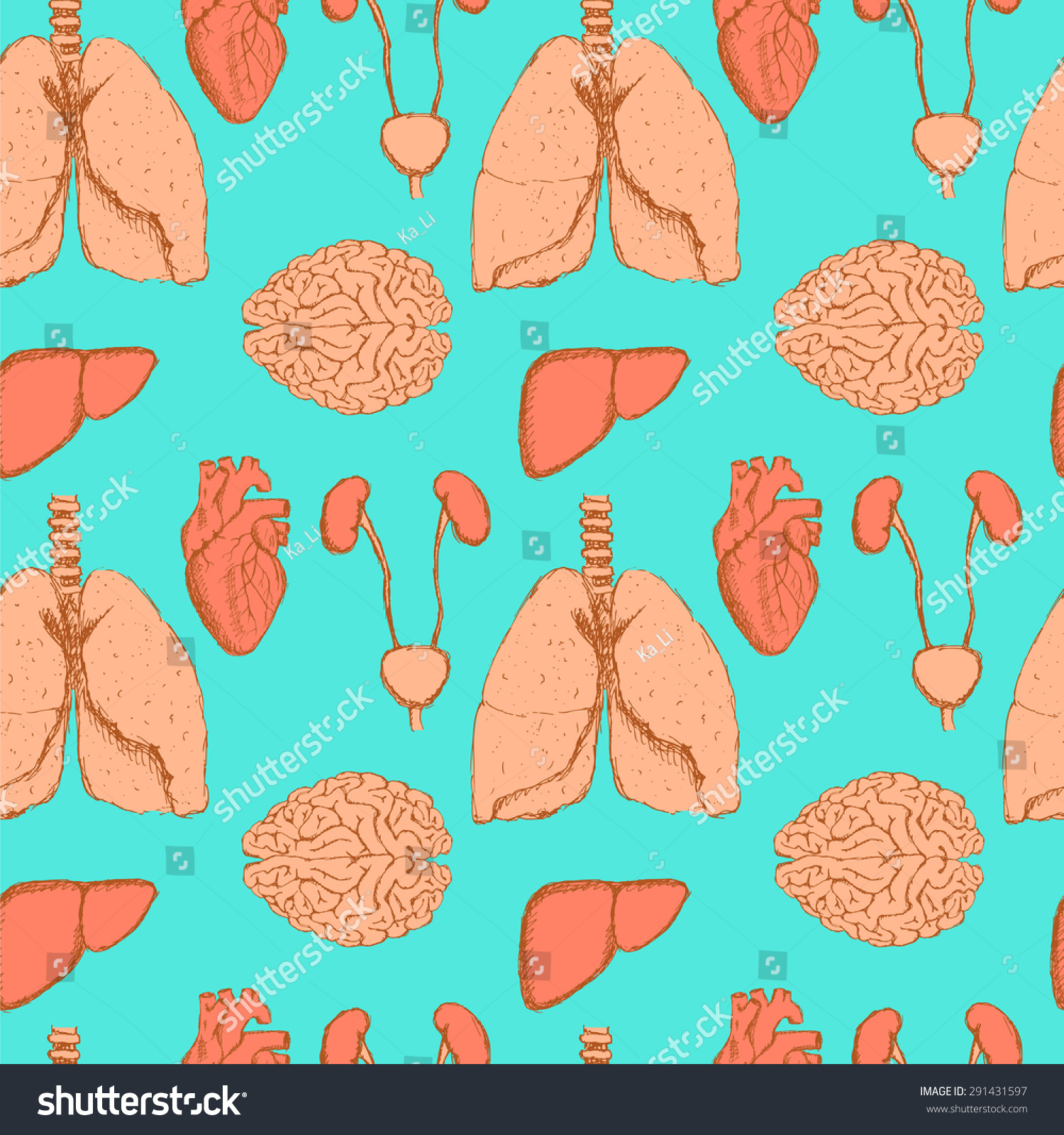 Sketch Internal Organs Vintage Style Vector Stock Vector (Royalty Free ...