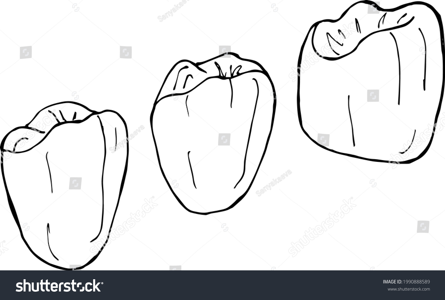 Sketch Teeth Hand Drawingvector Illustration Stock Vector (Royalty Free ...