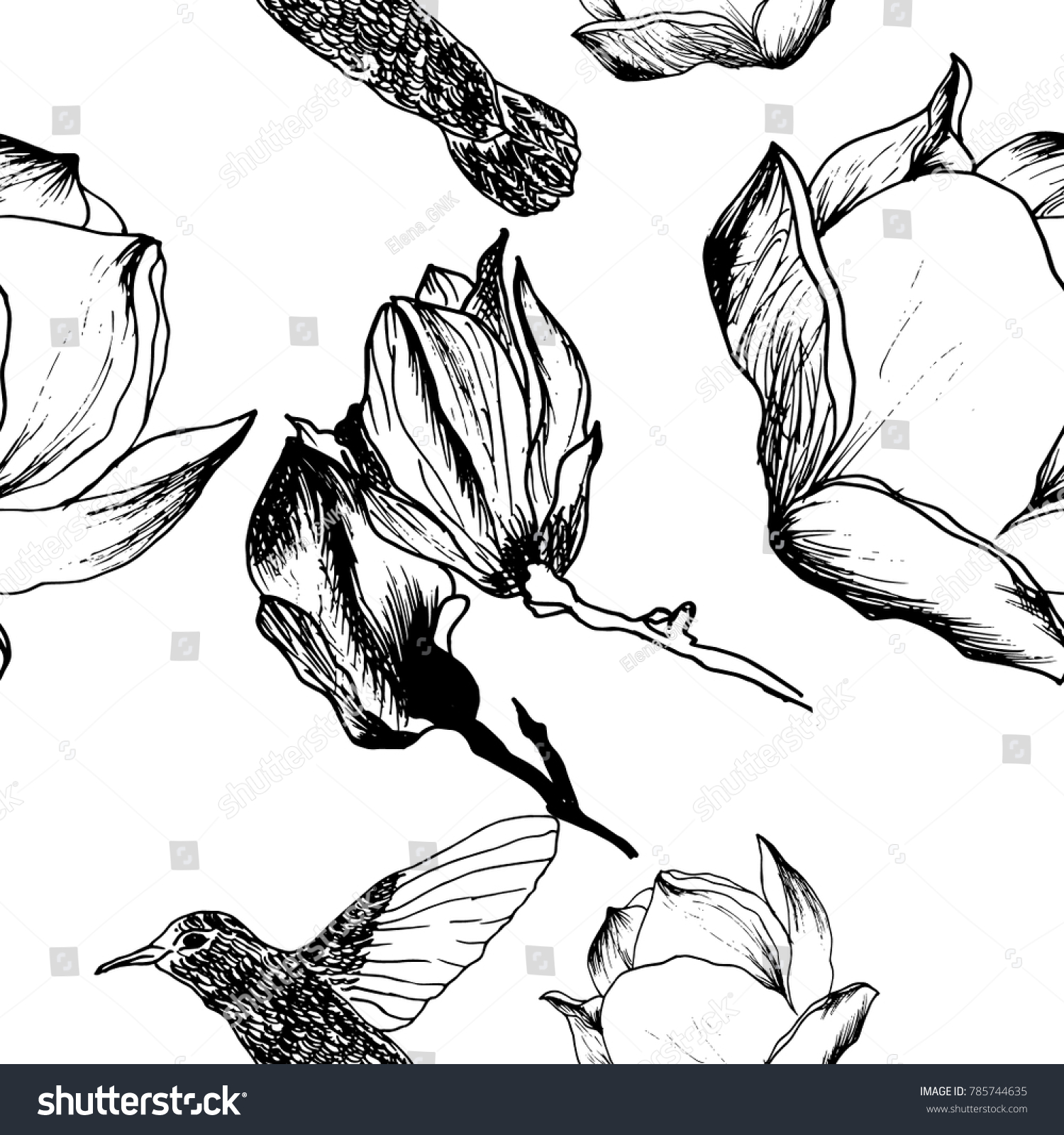 Sketch Vector Flower Bird Pattern Hand : image vectorielle de stock ...