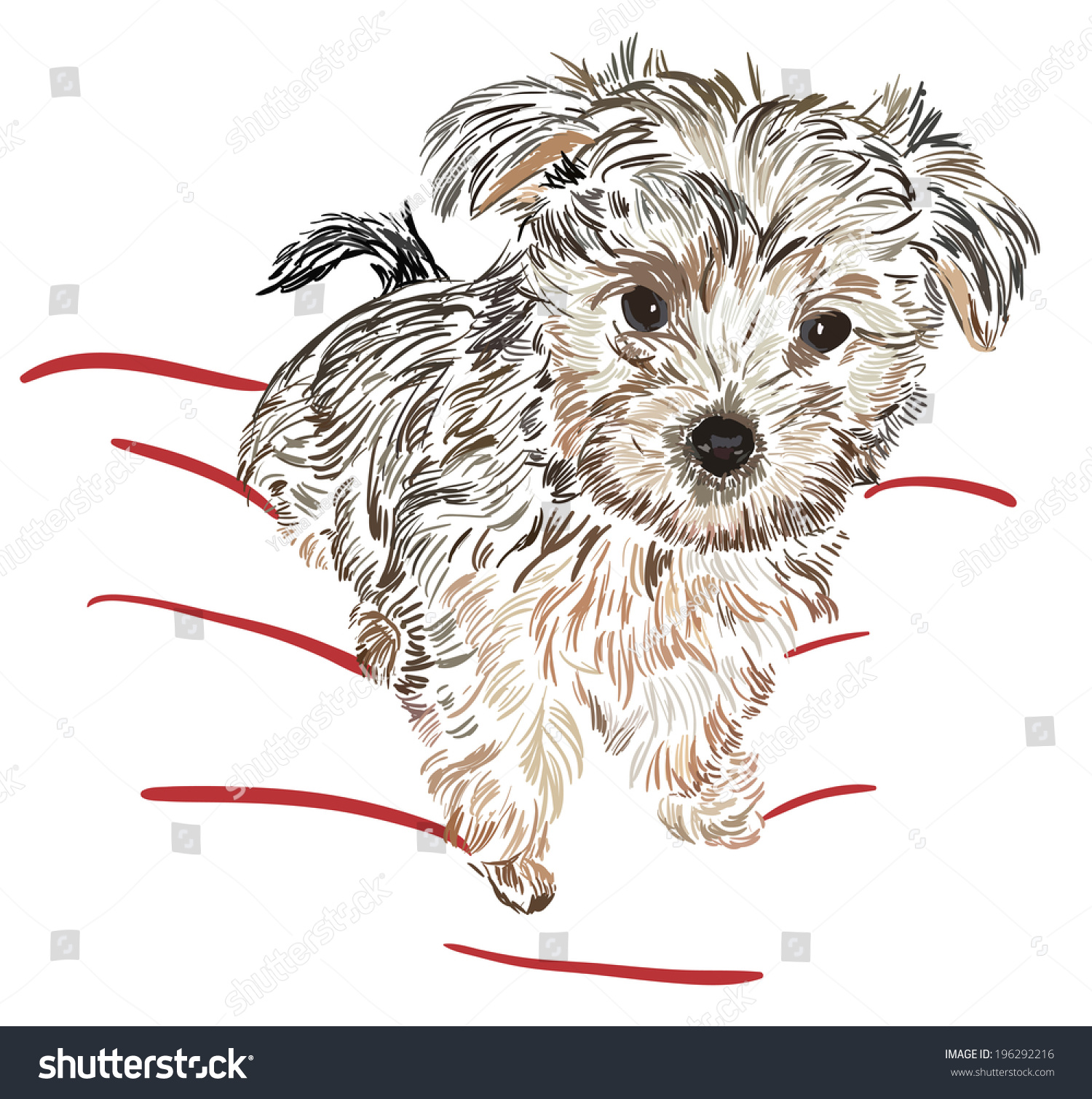 Sketch Yorkshire Terrier Vector Version Stock Vector (Royalty Free ...