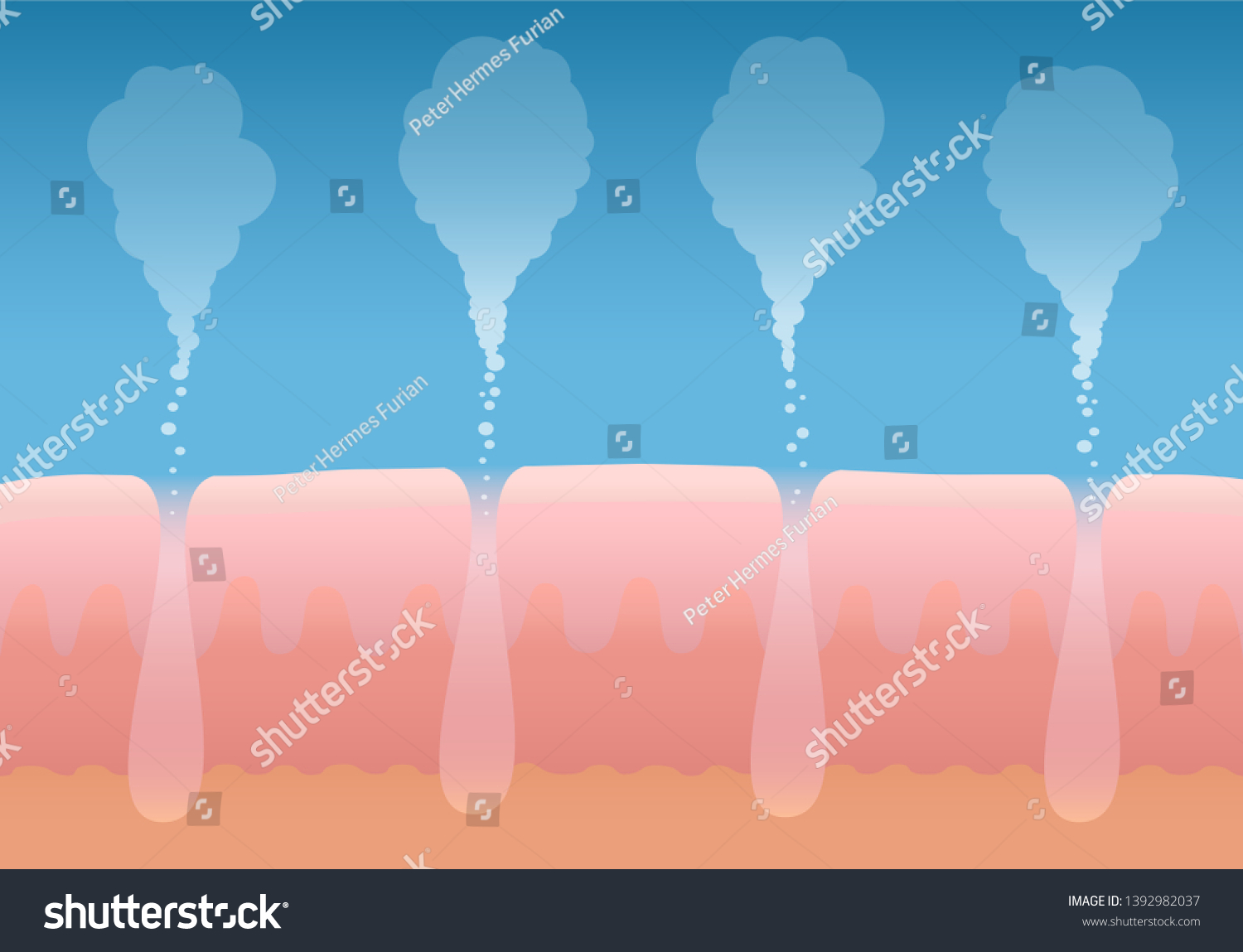 Skin Breathing Human Cutaneous Respiration Schematic: vetor stock ... Skin Breathing Human Cutaneous Respiration Schematic: vetor stock ...