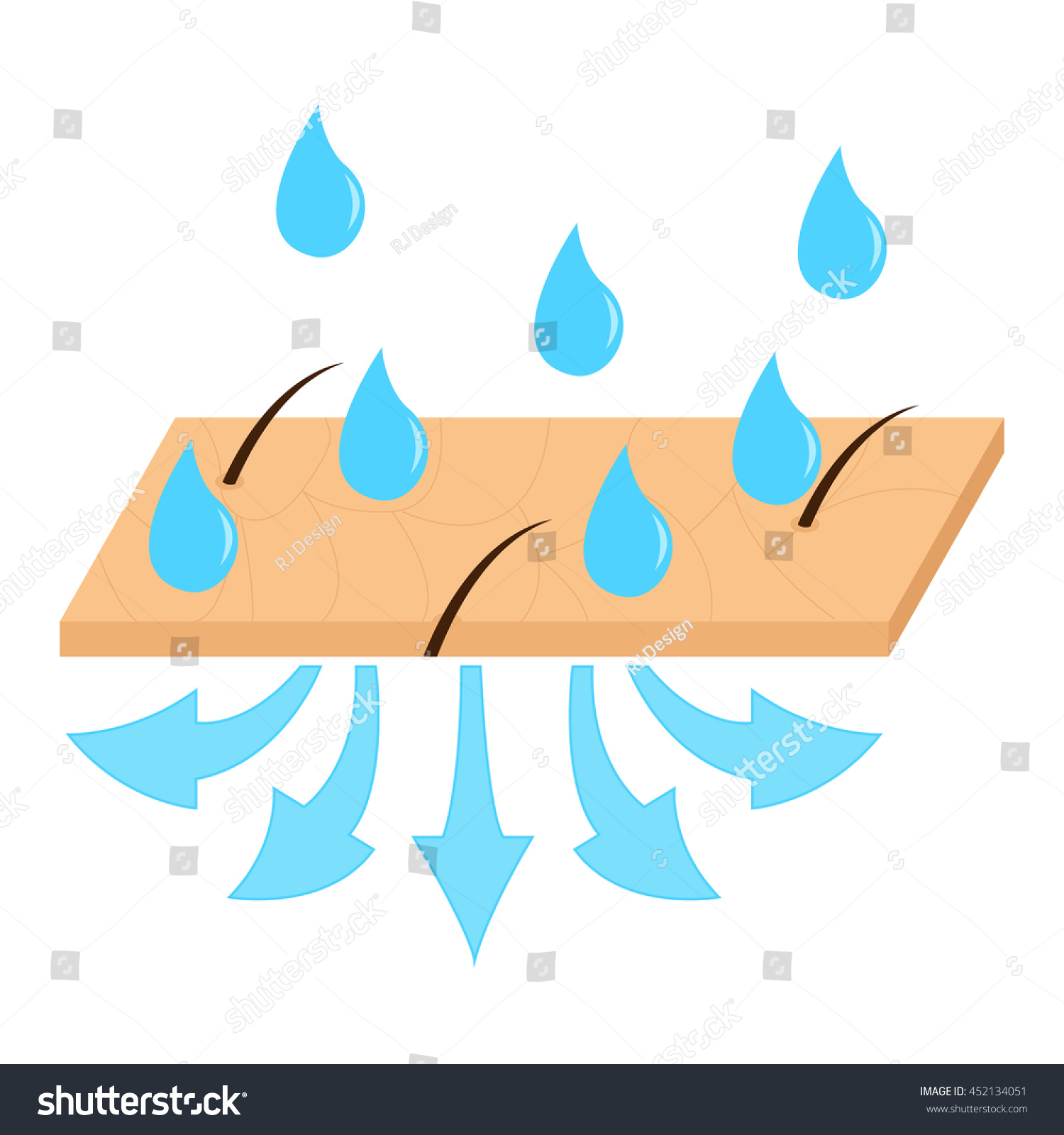 Skin Hydration Sectional View Vector Illustration Stock Vector (Royalty ...