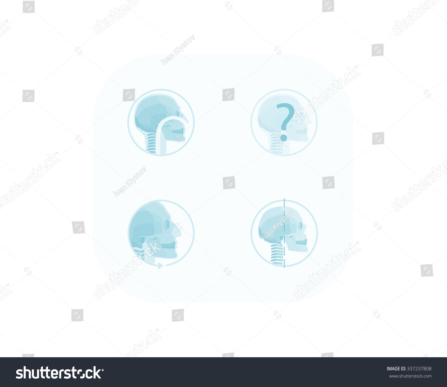 Skull Anatomy Profile Stock Vector (Royalty Free) 337237808 | Shutterstock