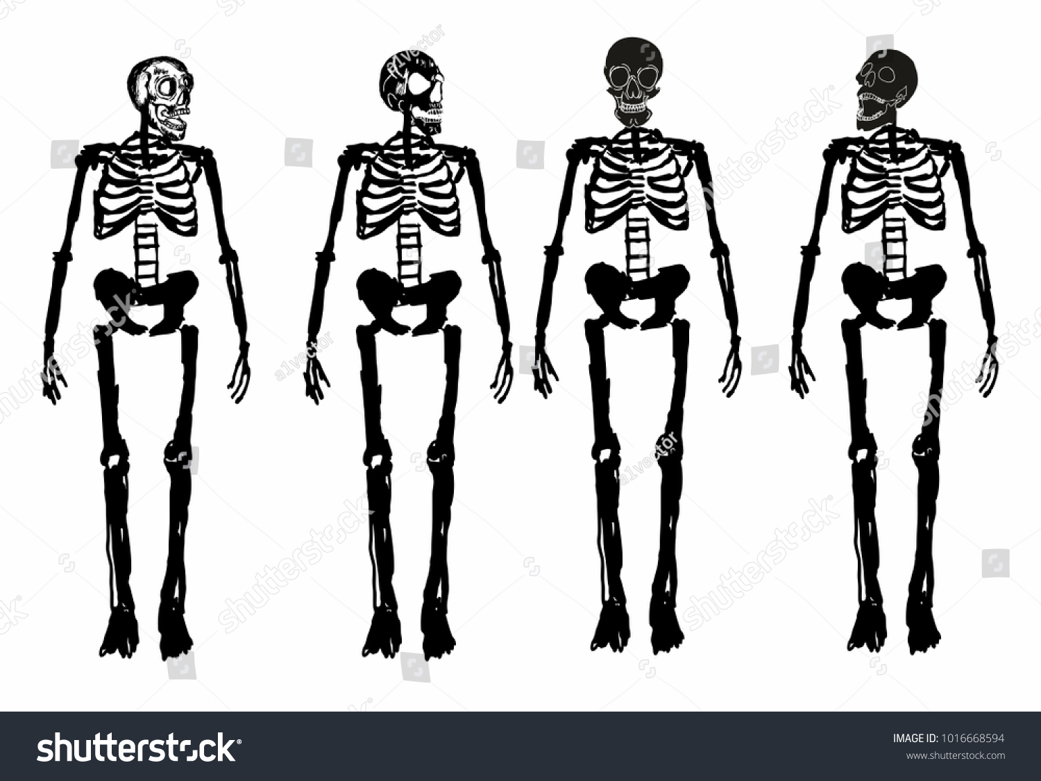 Skull Graphic Design Vector Art Stock Vector (Royalty Free) 1016668594 ...