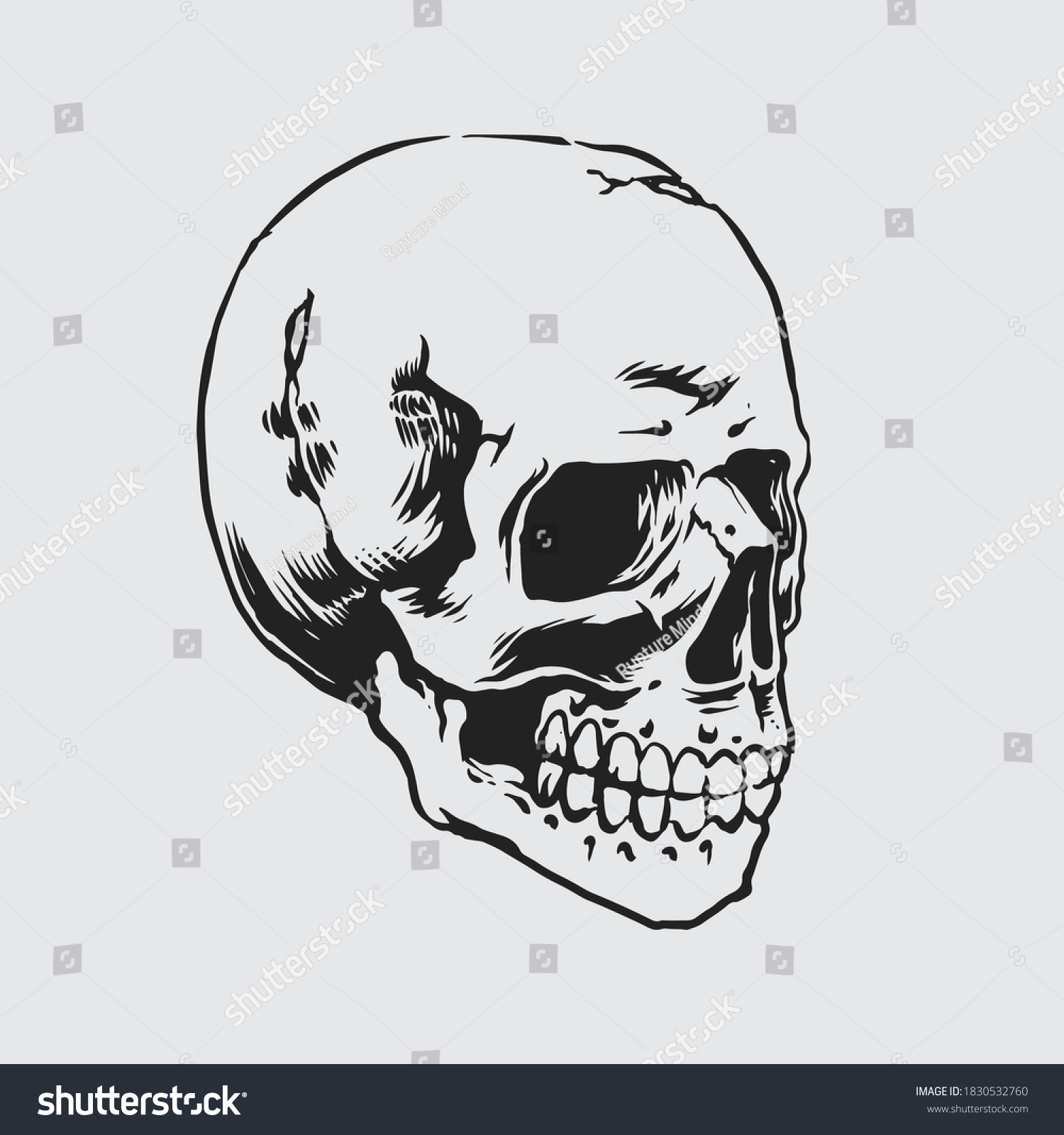 Skull Hand Drawn Vector Illustration Stock Vector (Royalty Free) 1830532760