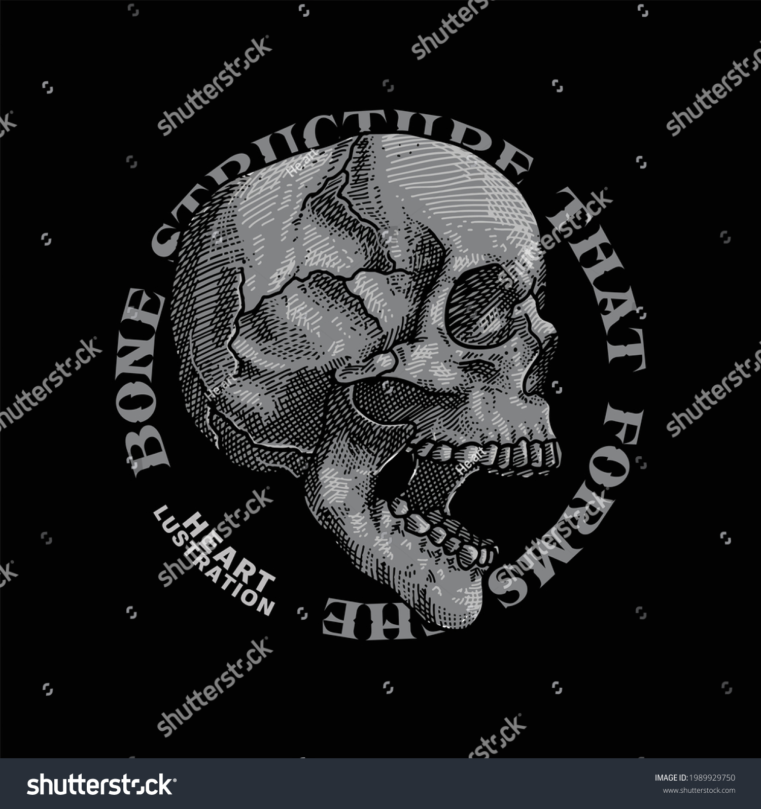 Skull Illustration Dynamic Position Stock Vector (Royalty Free ...