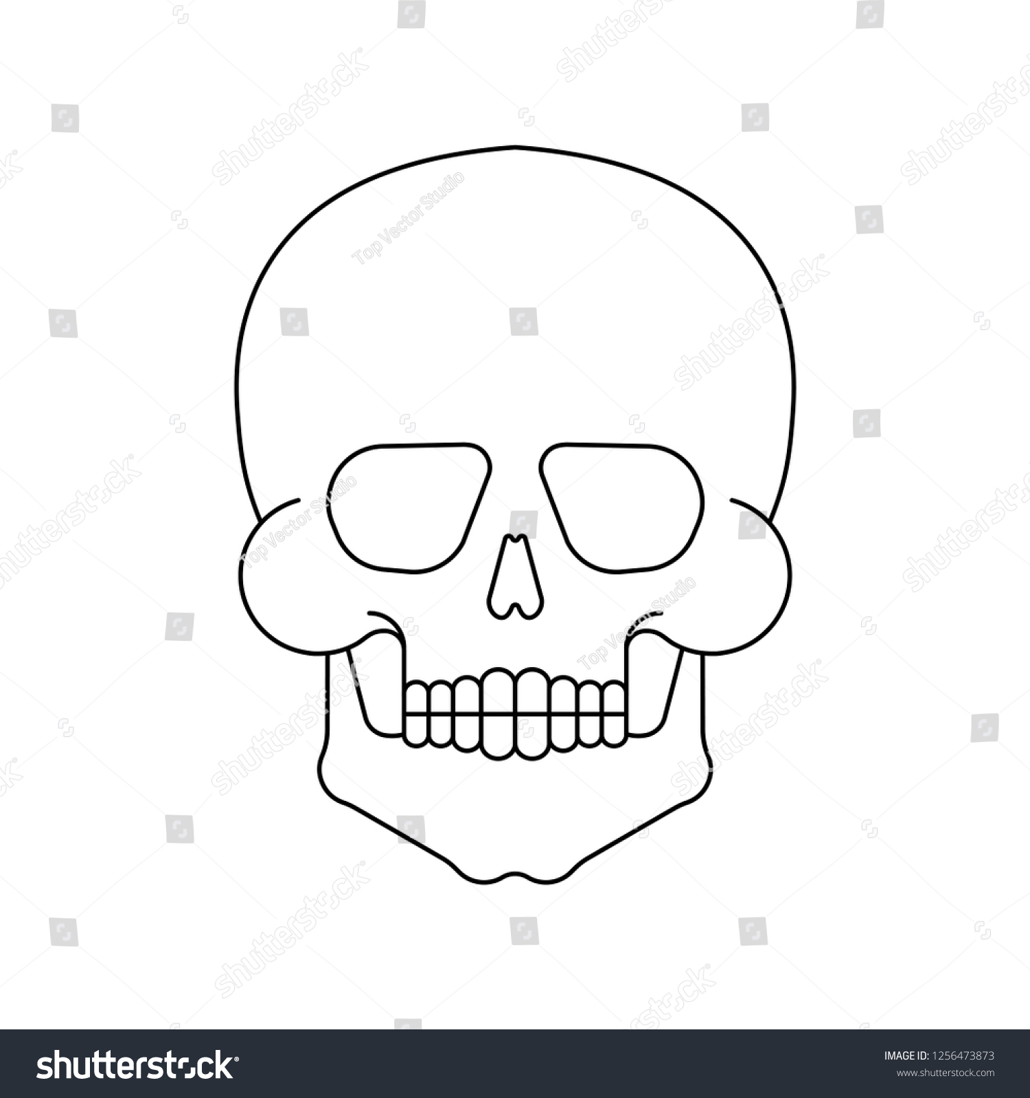 Skull Isolated Skeleton Head Vector Illustration Stock Vector (Royalty ... Skull Isolated Skeleton Head Vector Illustration Stock Vector (Royalty ...
