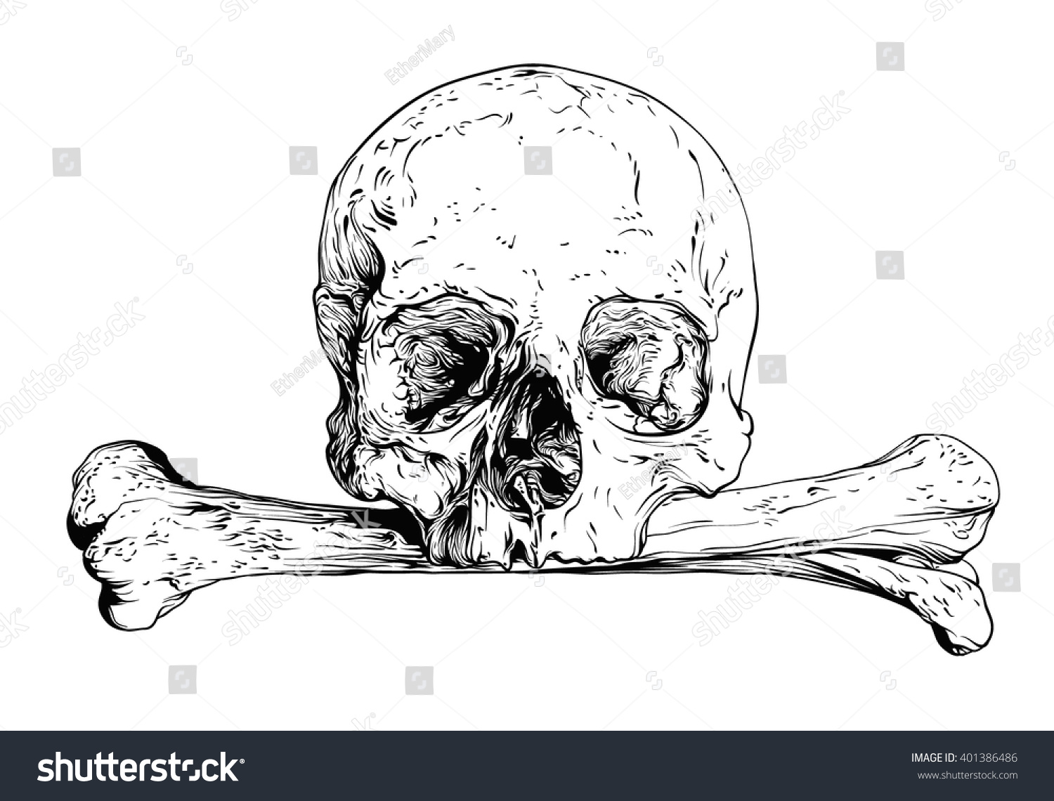 Skull Realistic Sketch Vector Illustration Stock Vector (Royalty Free ...