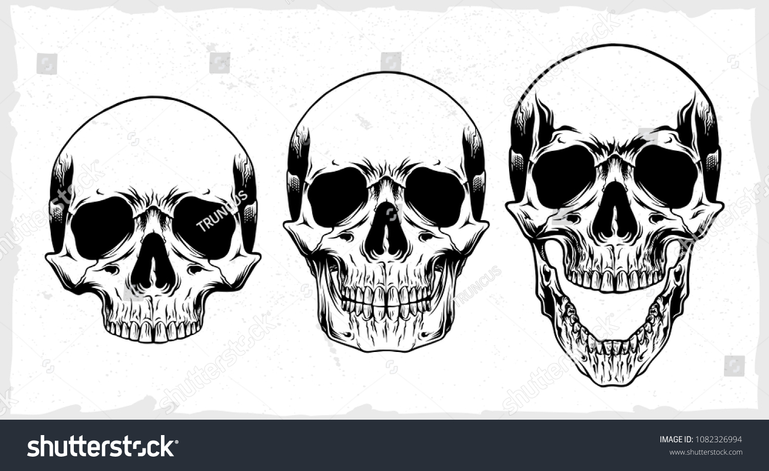 Skull Jaw Vector Set: เวกเตอร์สต็อก (ปลอดค่าลิขสิทธิ์) 1082326994