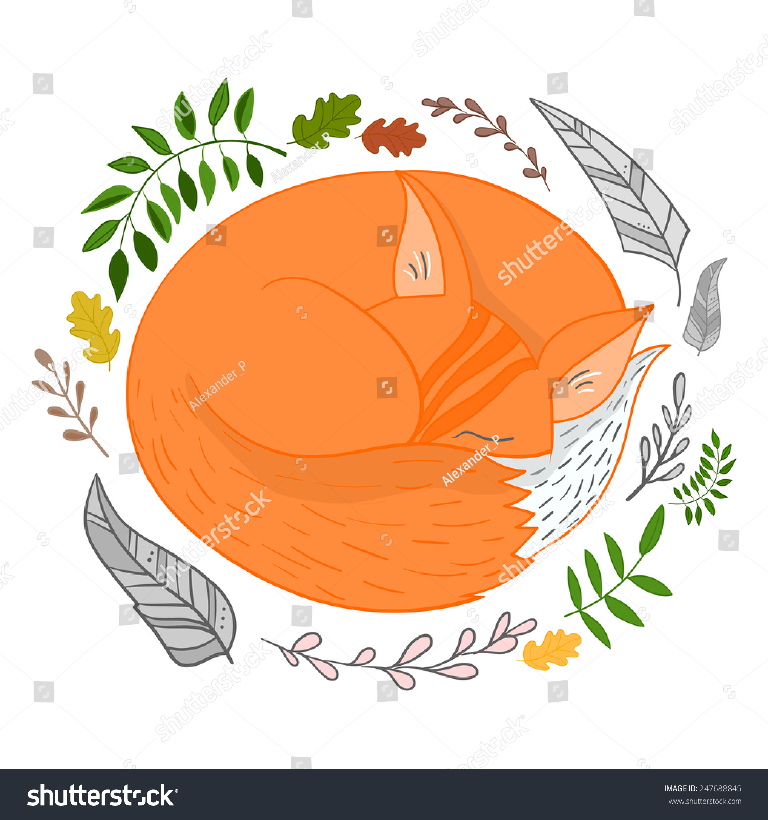 Sleeping Fox Vector Illustration Stock Vector (Royalty Free) 247688845 ...
