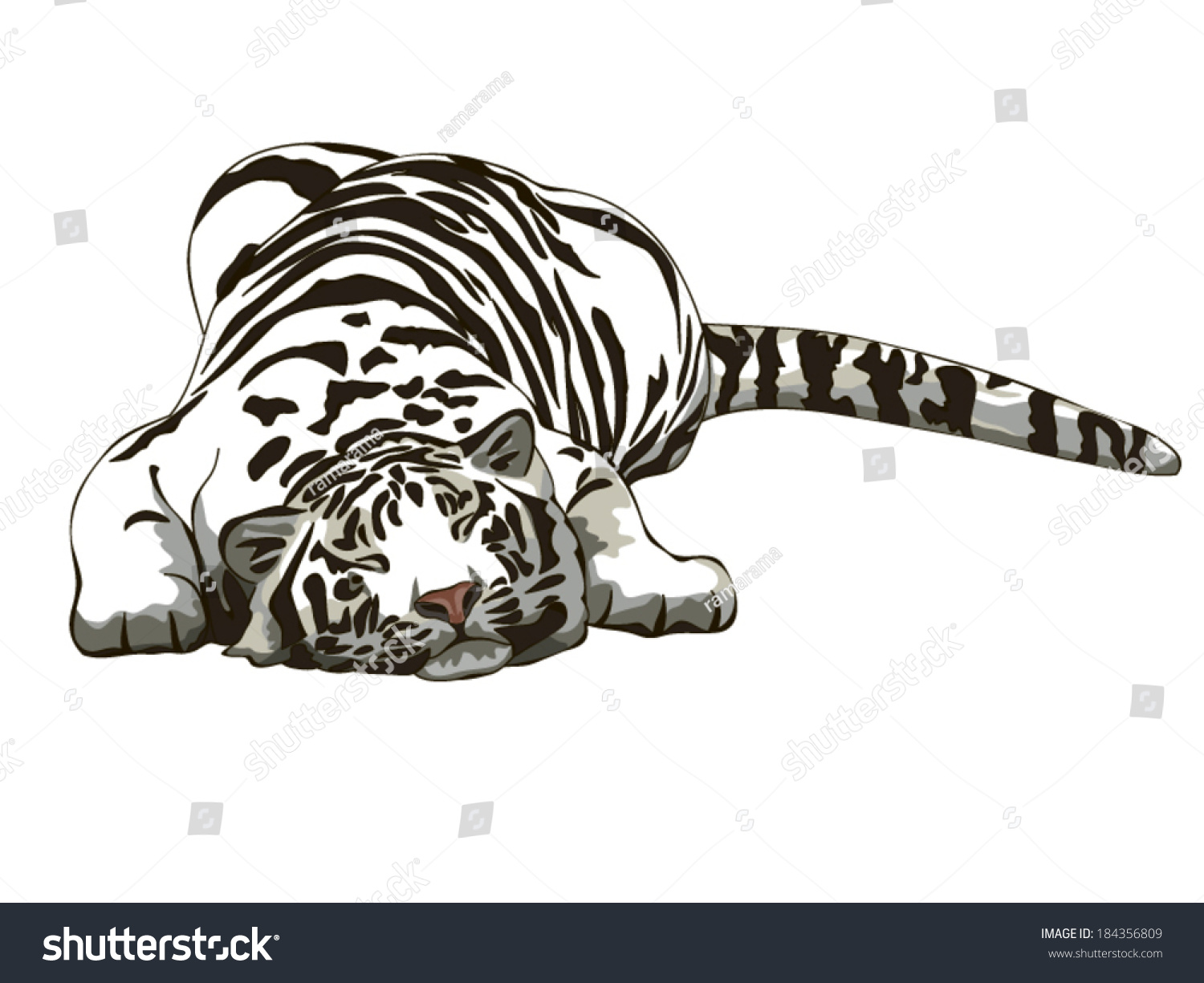 Sleeping White Tiger Drawing Stock Vector (Royalty Free) 184356809 ...