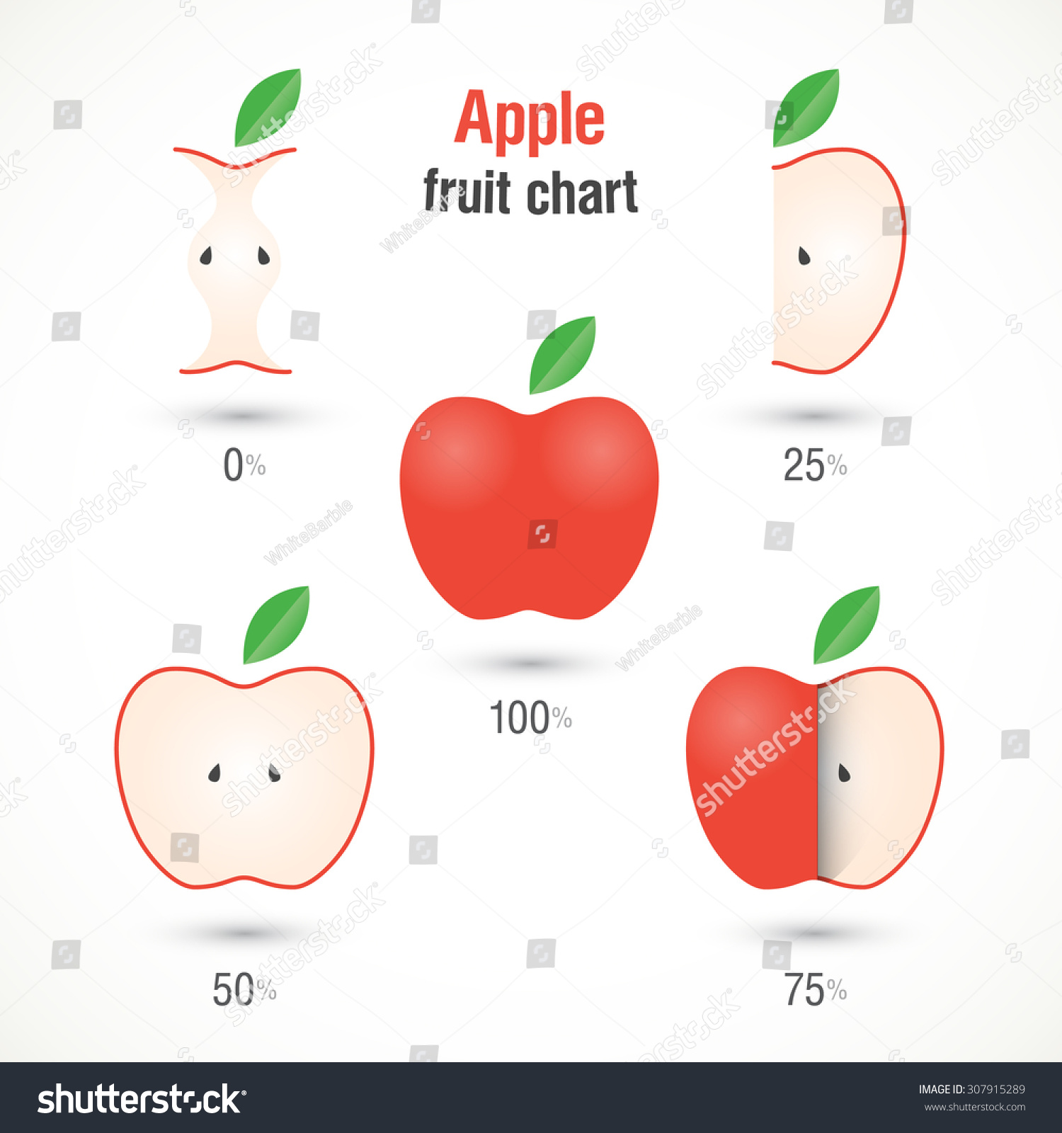 Sliced Apple Fruit Chart Vector Illustration Stock Vector (Royalty Free ...