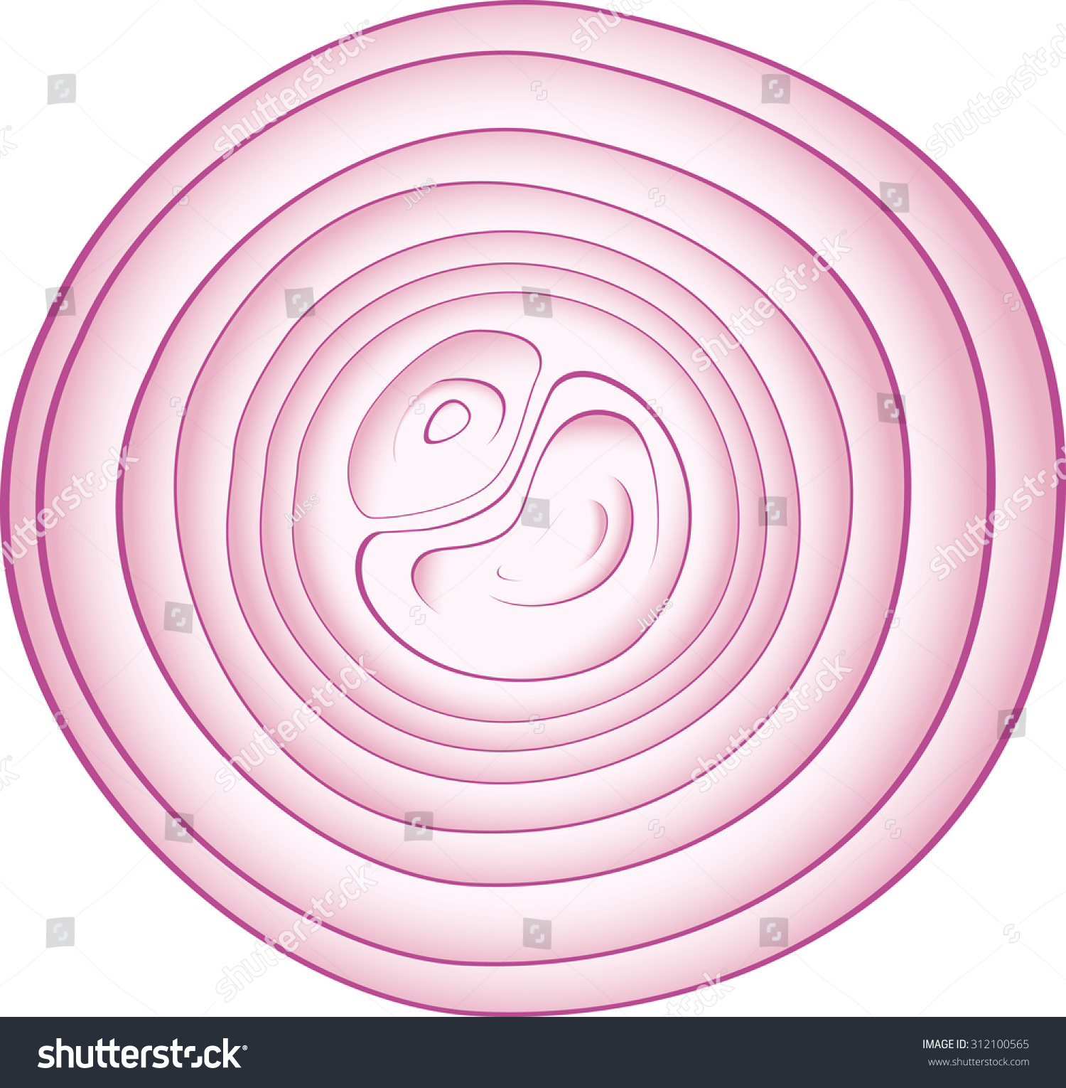 Sliced Red Onion Stock Vector (Royalty Free) 312100565 | Shutterstock