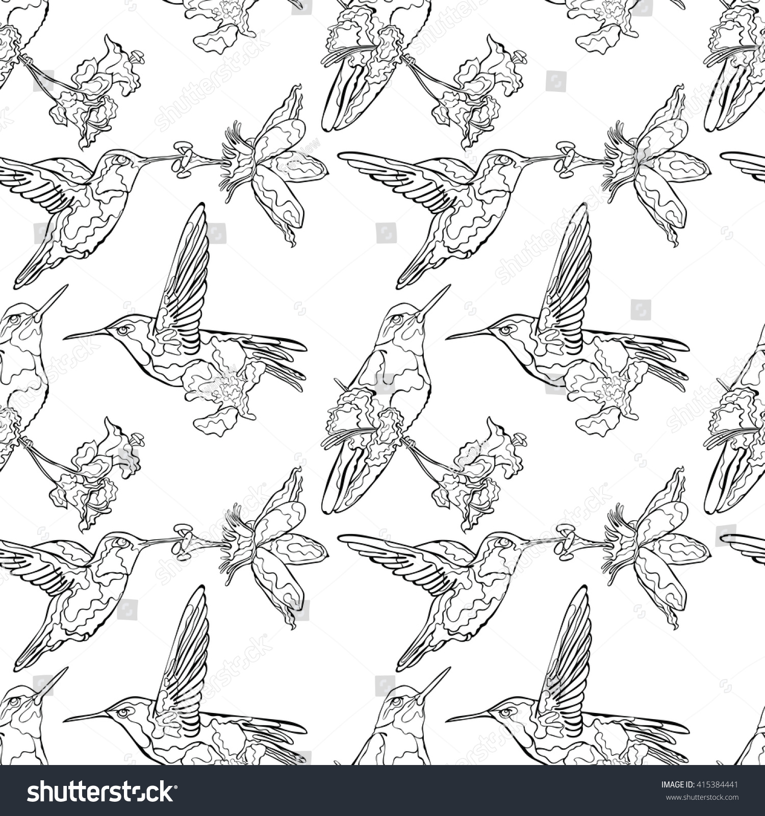Small Bird Hummingbirds Floral Pattern Vector Stock Vector (Royalty ...