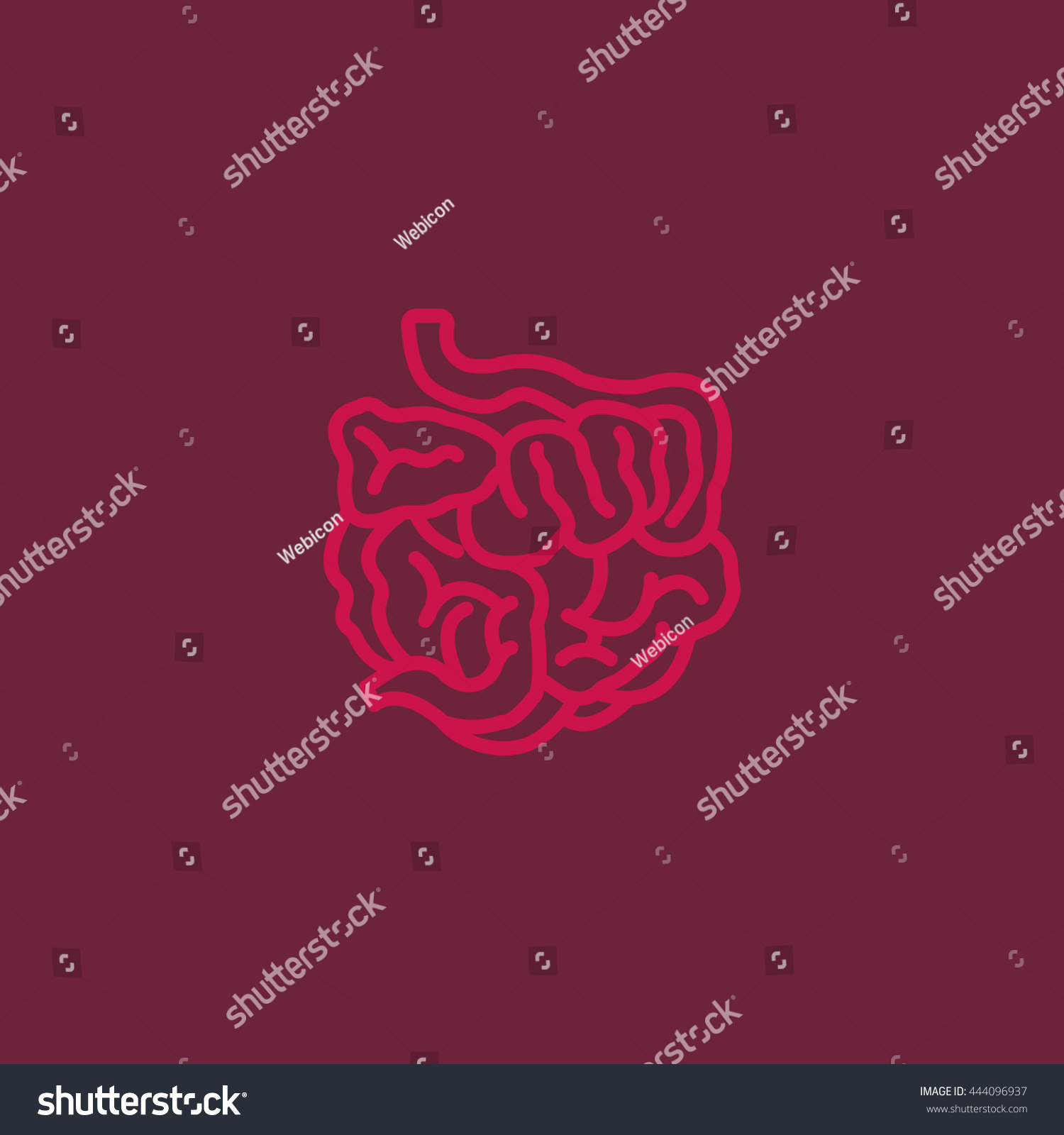 Small Intestine Icon Stock Vector (Royalty Free) 444096937 | Shutterstock