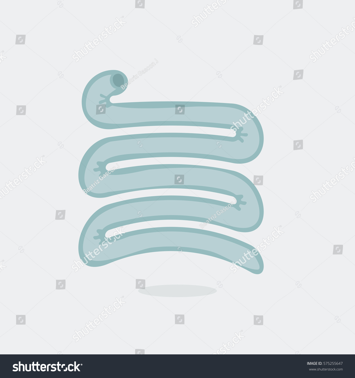 Small Intestine Vector Illustration Stock Vector (Royalty Free ...