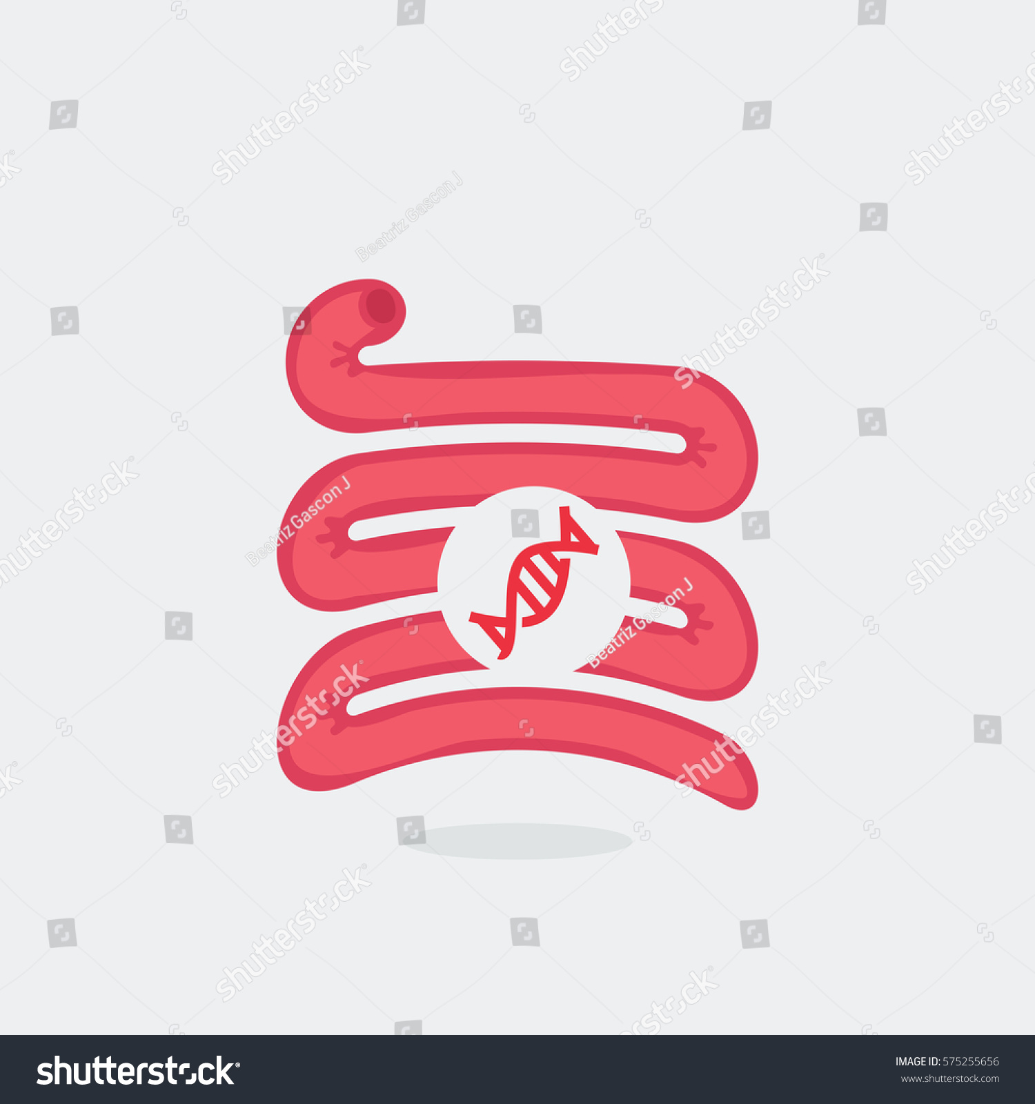 Small Intestine Vector Illustration Stock Vector (Royalty Free ...