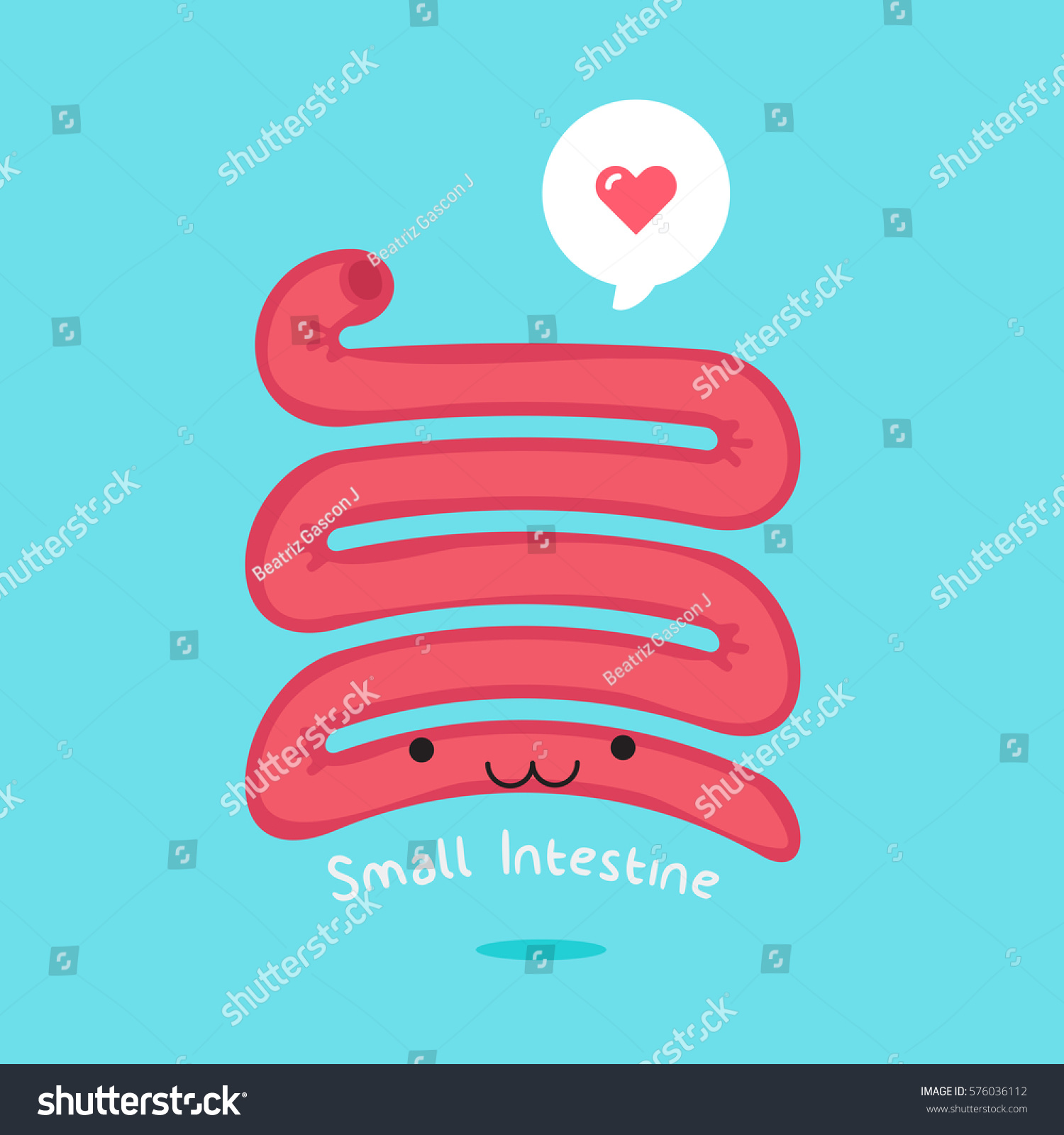 Small Intestine Vector Illustration Stock Vector (Royalty Free ...