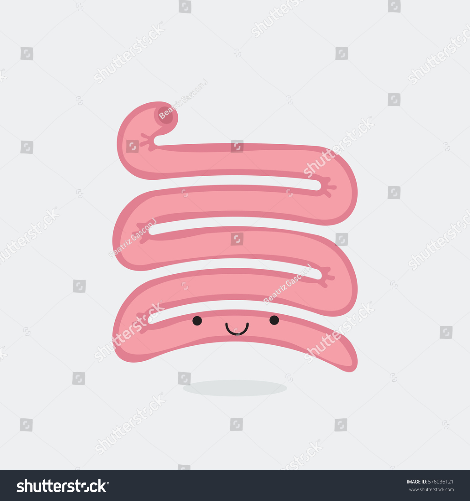 Small Intestine Vector Illustration Stock Vector (Royalty Free ...