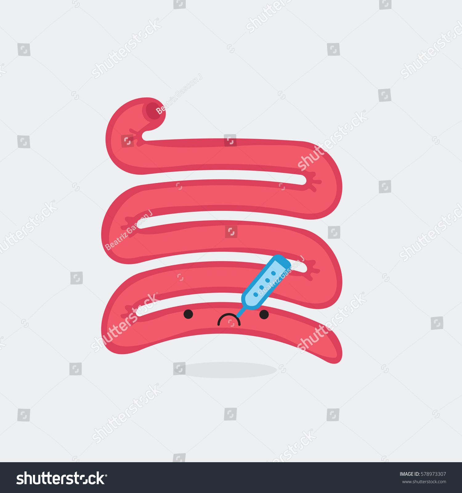 Small Intestine Vector Illustration Stock Vector (Royalty Free) 578973307