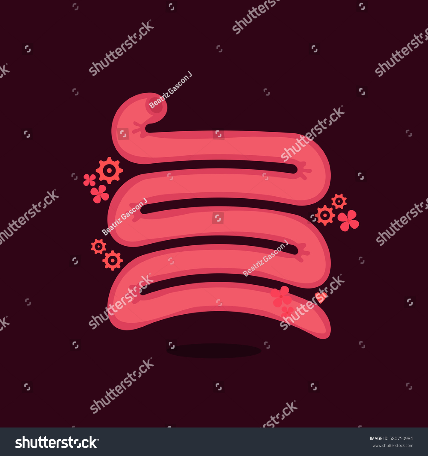 Small Intestine Vector Illustration Stock Vector (Royalty Free ...