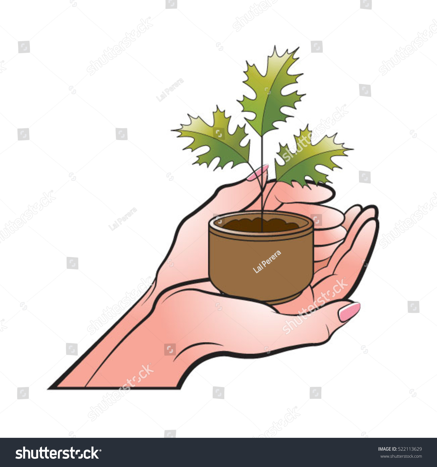 Small Maple Plan Handsvector Drawing Stock Vector Royalty Free 522113629