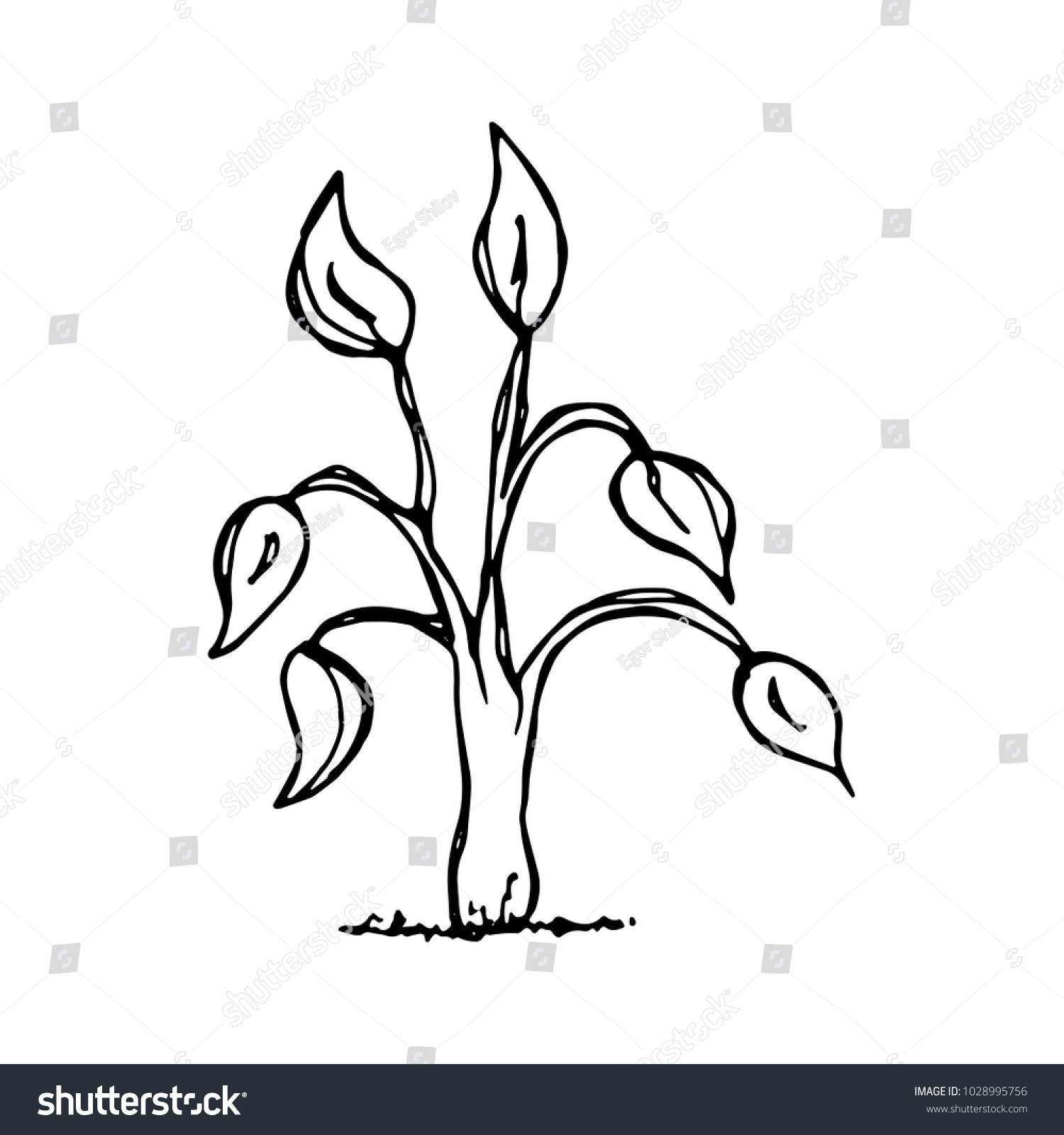 Small Tree Sprout Vector Sketch Isolated Stock Vector (Royalty Free ...