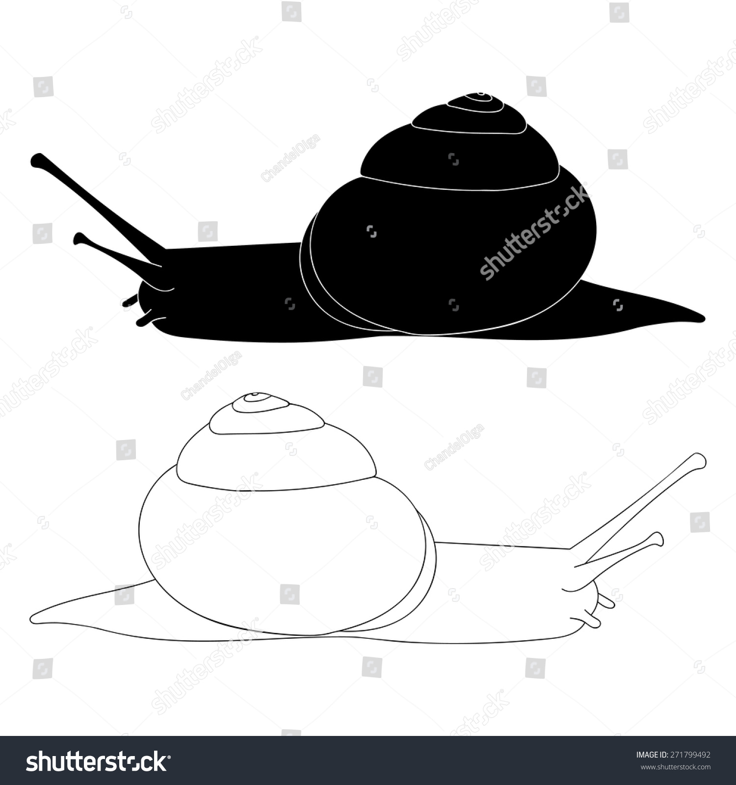 Snails Black Outline Stock Vector (Royalty Free) 271799492 | Shutterstock