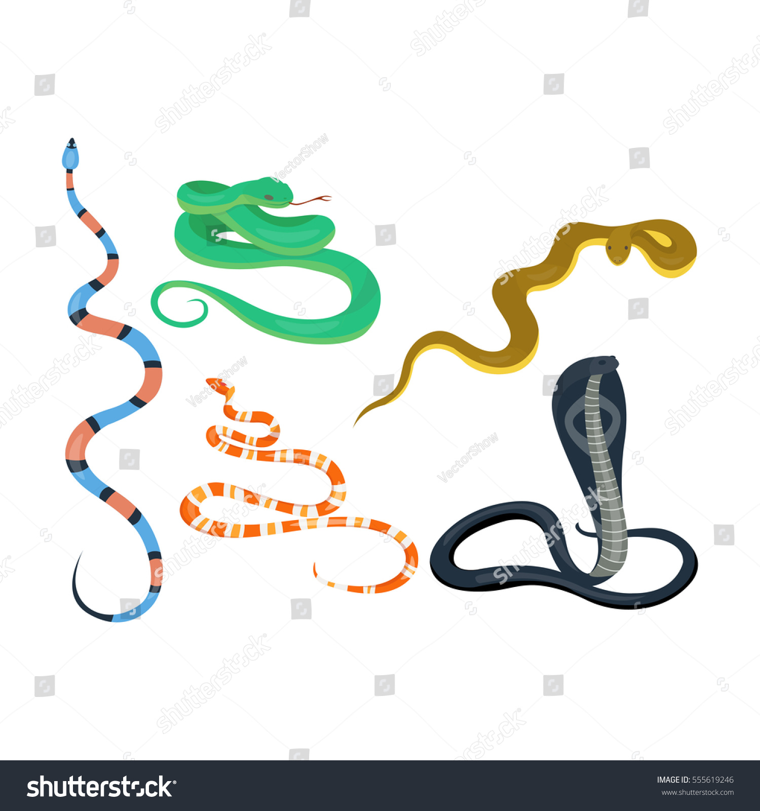 Snake Reptile Cartoon Vector Set Stock Vector (Royalty Free) 555619246 ...