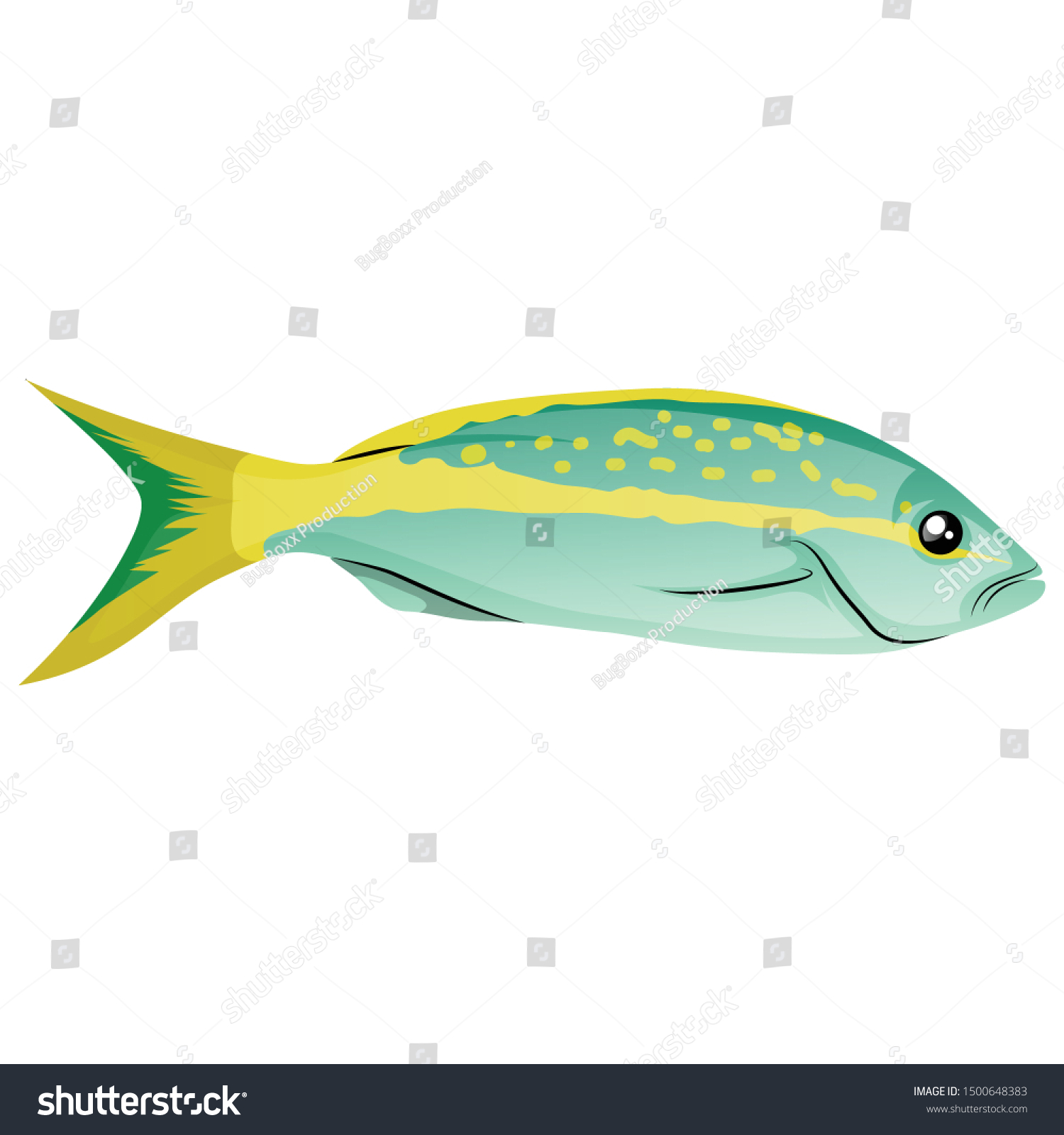 Snapper Fish Vector Illustration Isolated On Stock Vector (Royalty Free ...