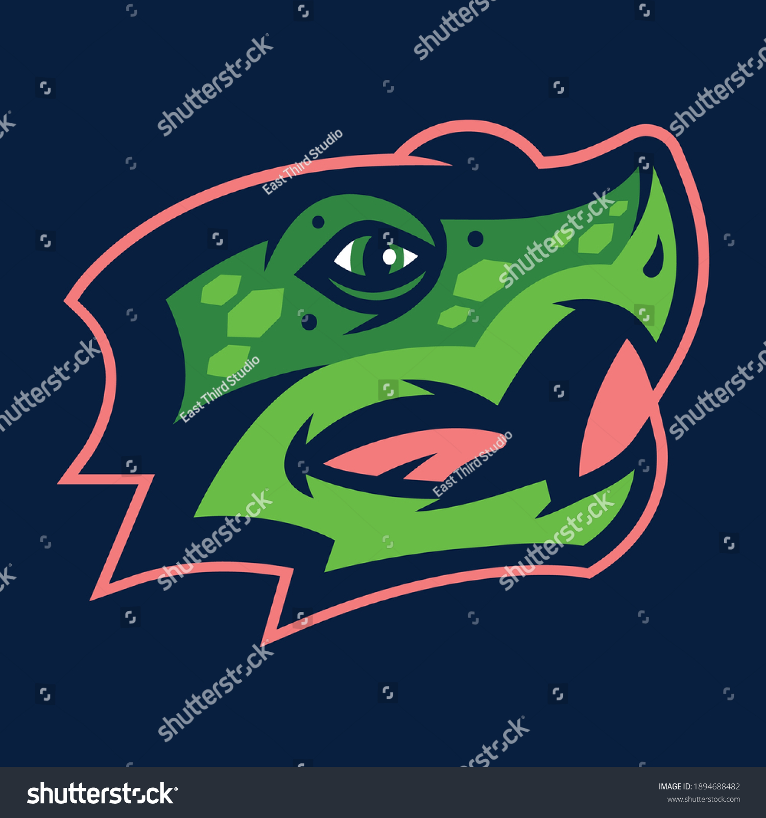 157 Snapping turtles Stock Illustrations, Images & Vectors | Shutterstock