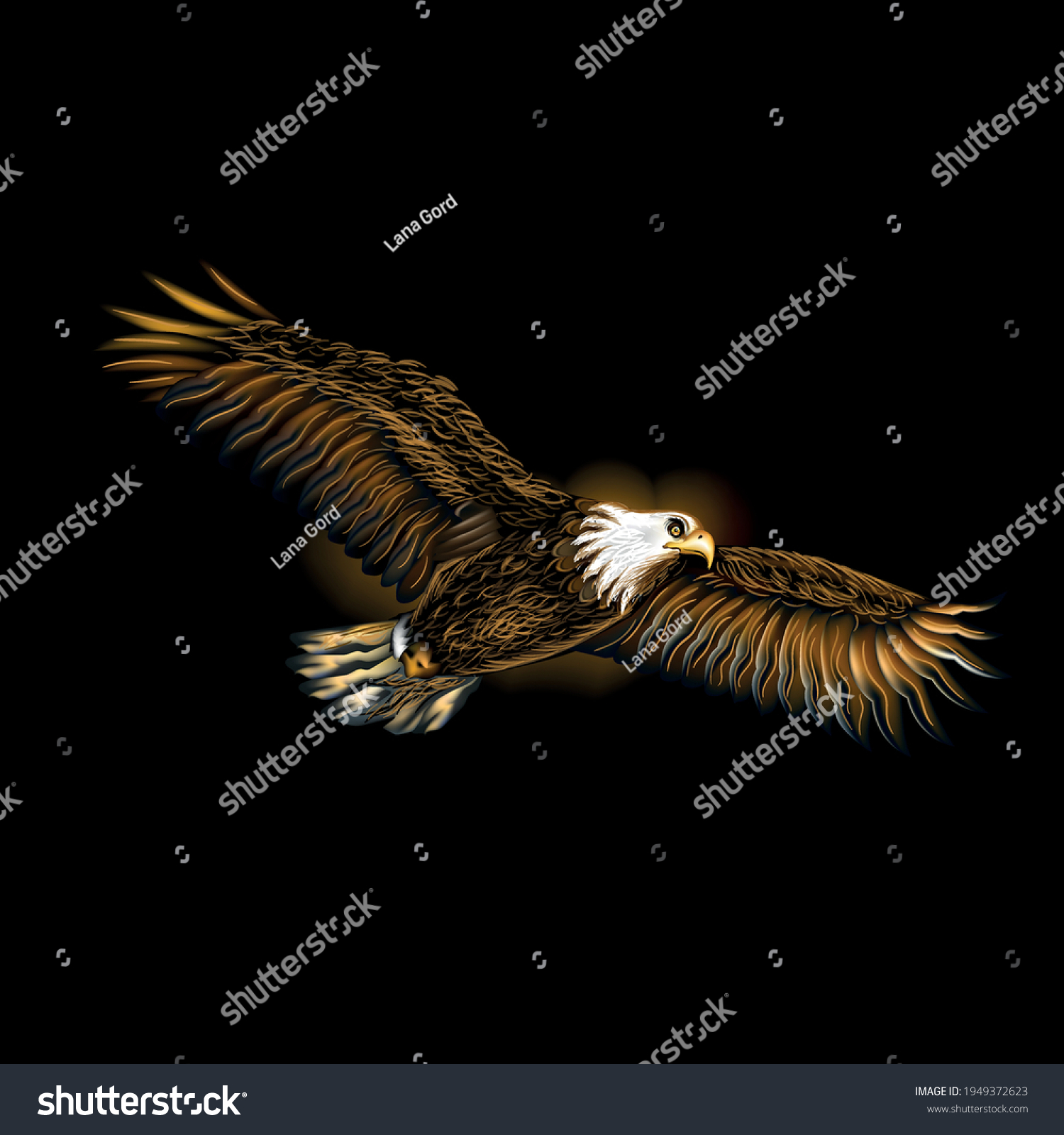Soaring Bald Eagle Realistic Art Portrait Stock Vector (Royalty Free ... Soaring Bald Eagle Realistic Art Portrait Stock Vector (Royalty Free ...