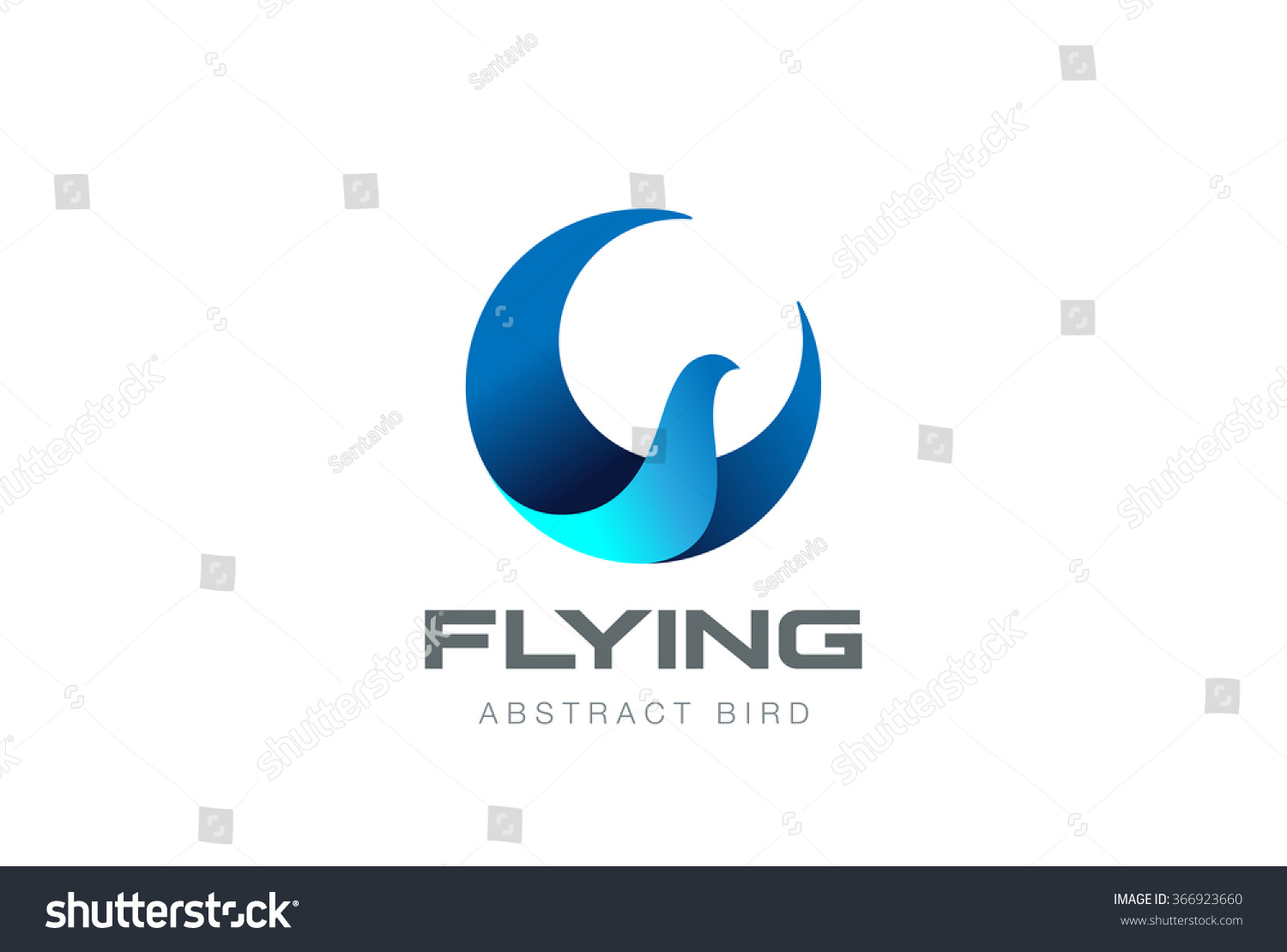 Circle Bird Logo